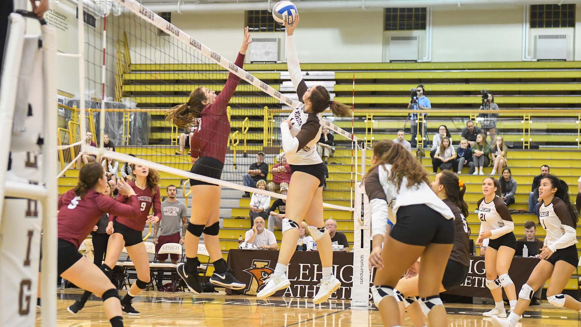 Emily Poole - Volleyball - Lehigh University Athletics