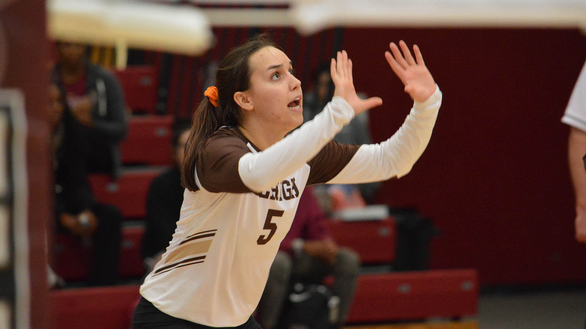 Develle becomes career digs leader as Lehigh sweeps first place ...