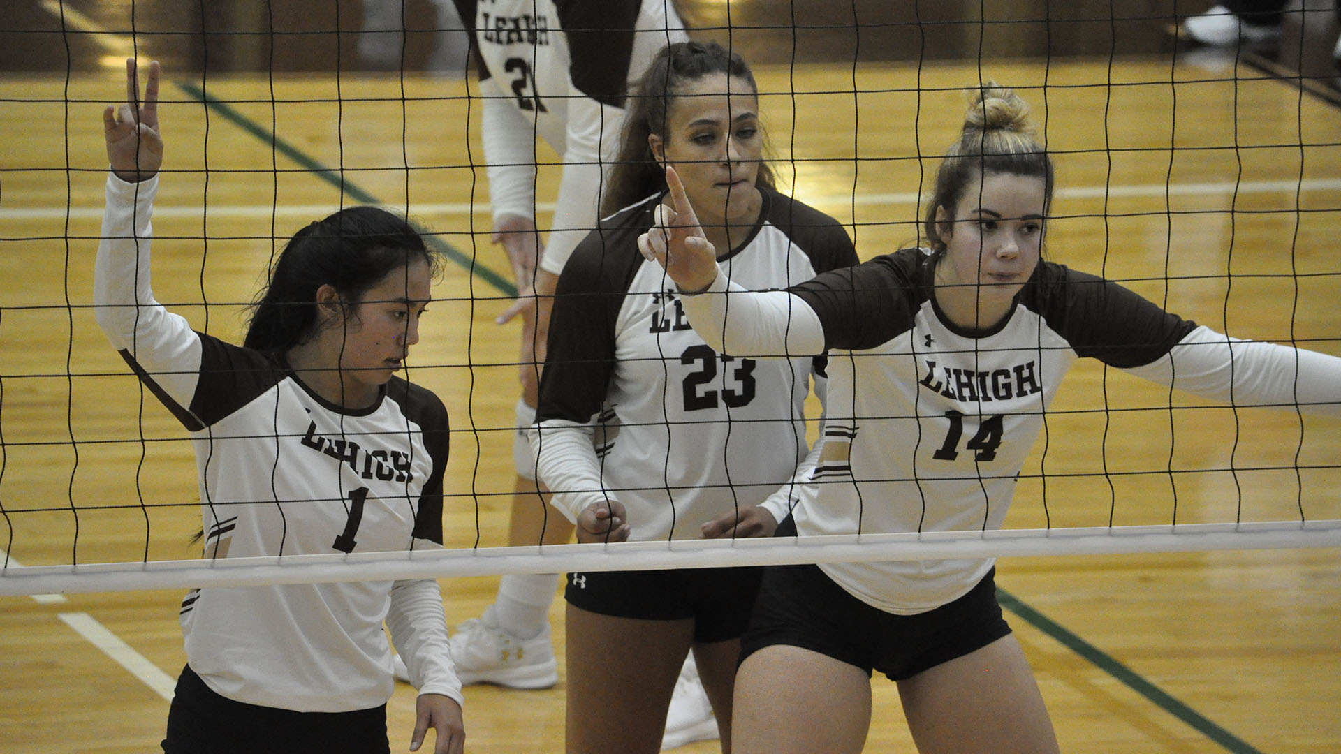 Emily Poole - Volleyball - Lehigh University Athletics