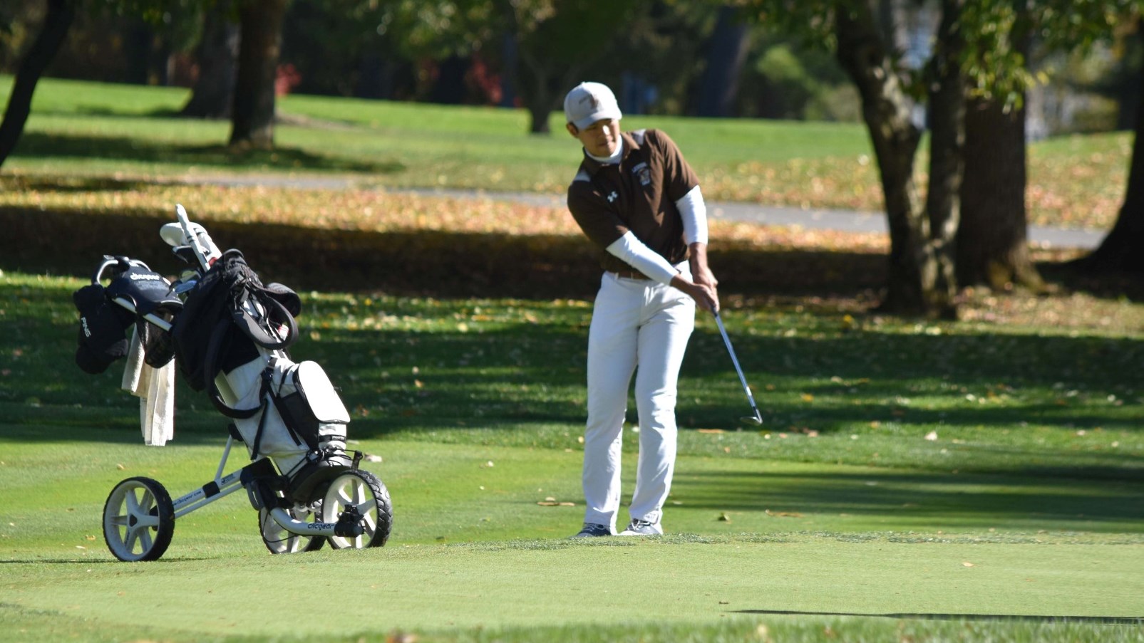 Daniel Song - Men's Golf - Lehigh University Athletics