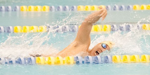 Carlos Alonso - 2013-14 - Men's Swimming - Lehman College Athletics