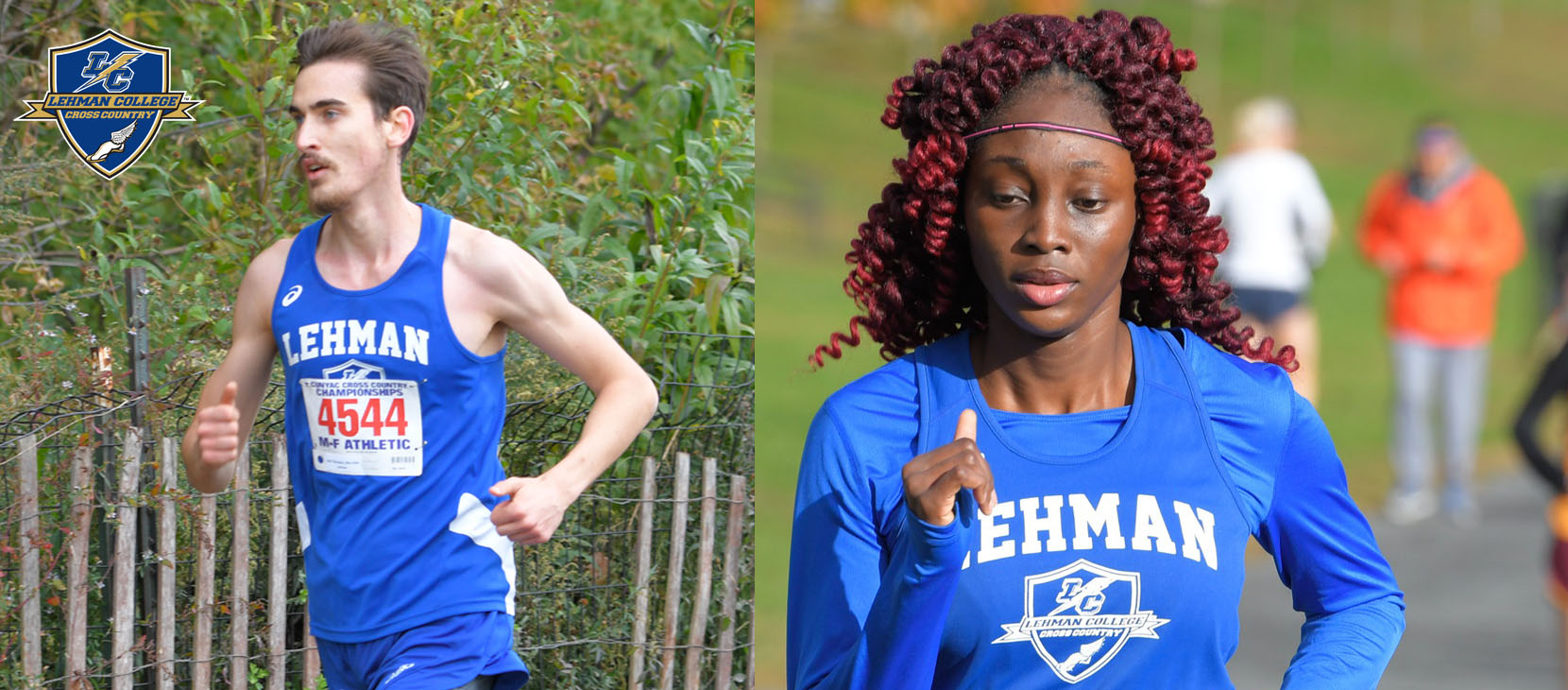 Cross Country Squads Compete At MSMC Knight Invitational - Lehman ...
