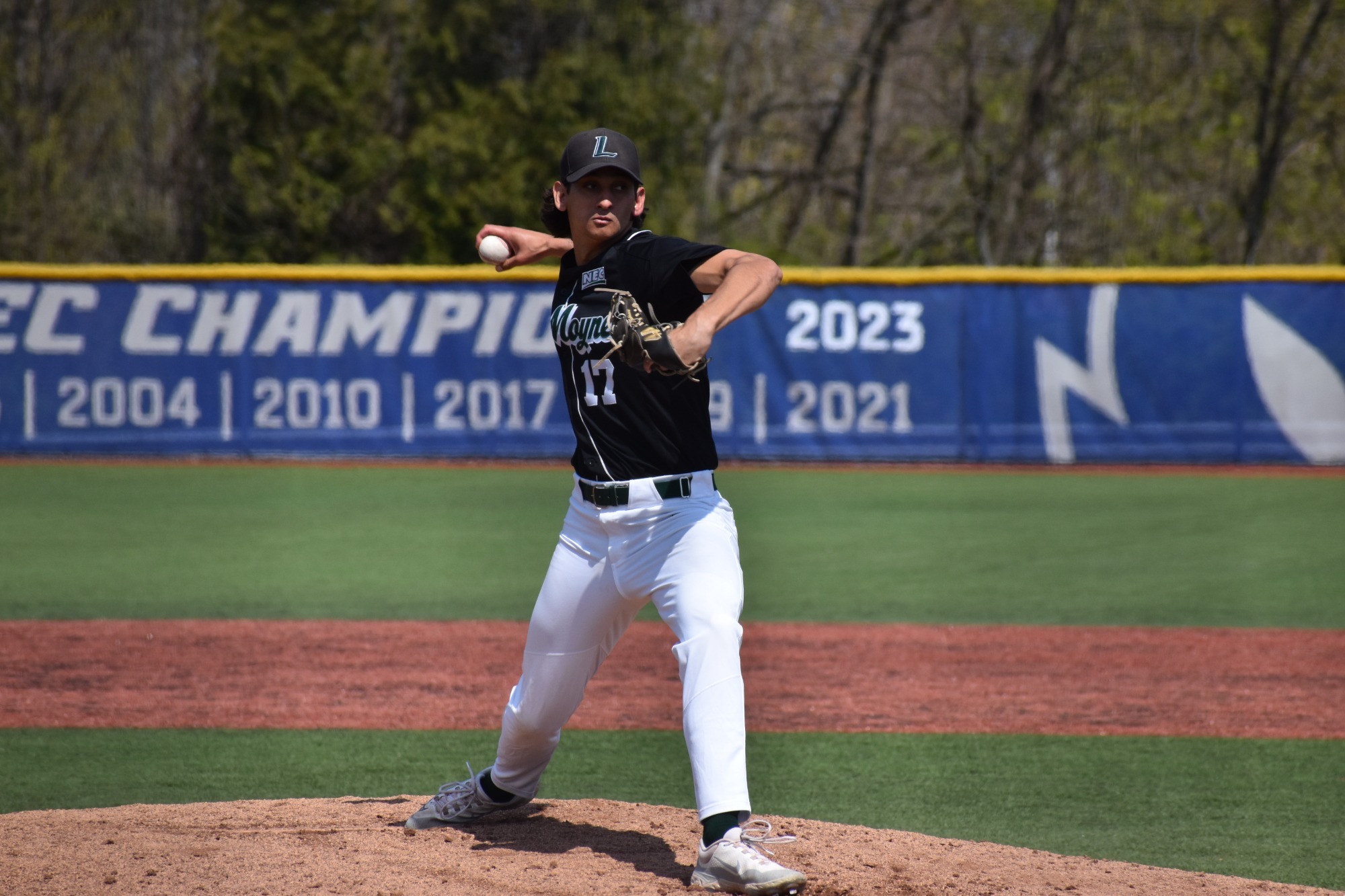 Jordan Goldmann - Baseball - Le Moyne College Athletics