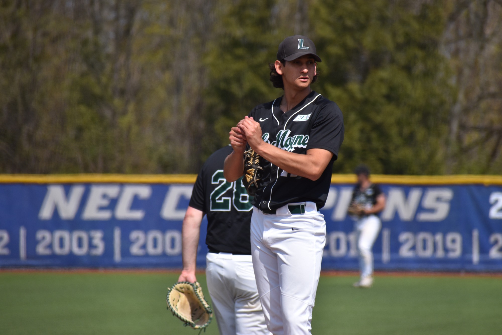 Jordan Goldmann - Baseball - Le Moyne College Athletics