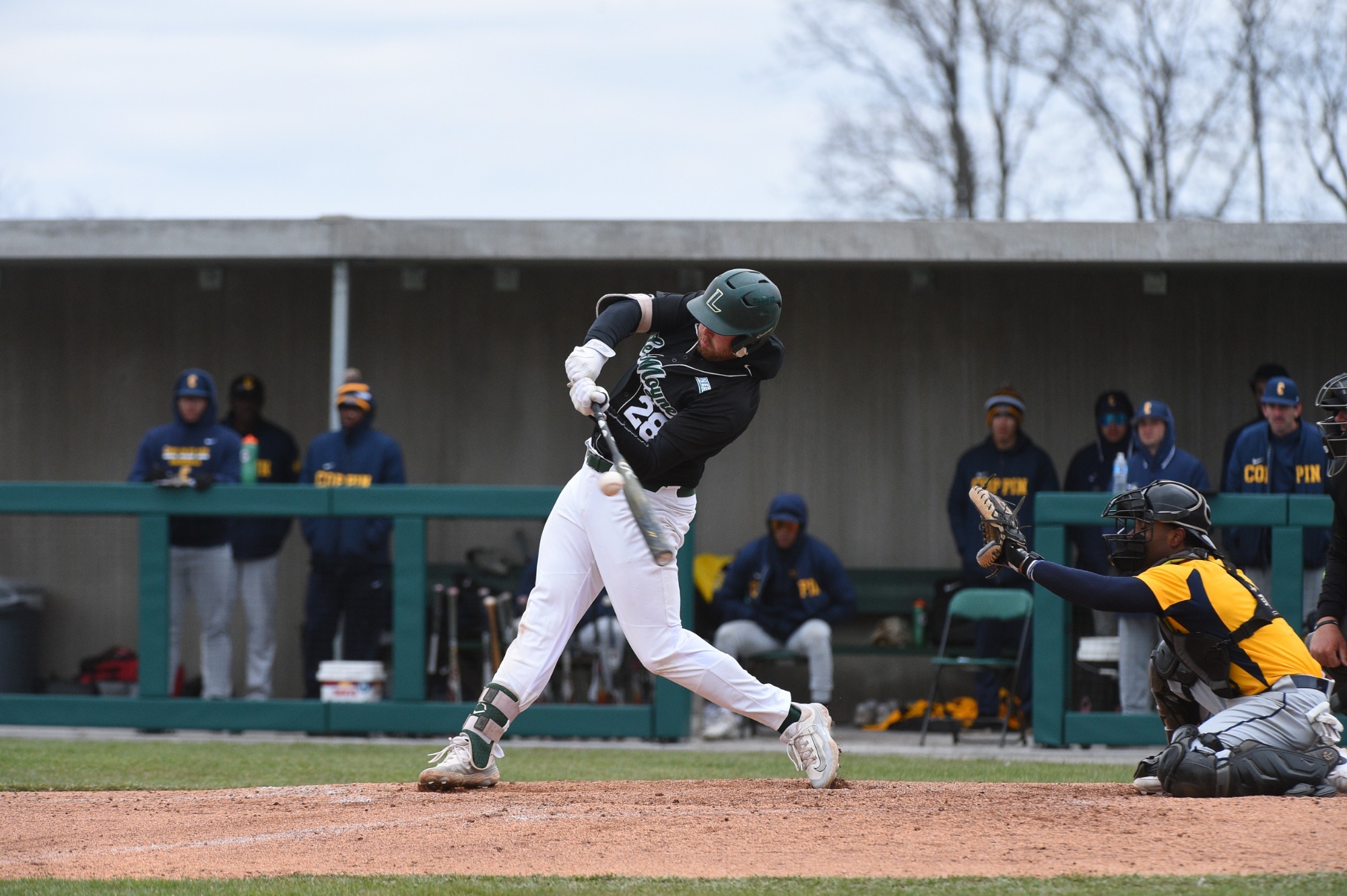 Dewey Roden - Baseball - Le Moyne College Athletics