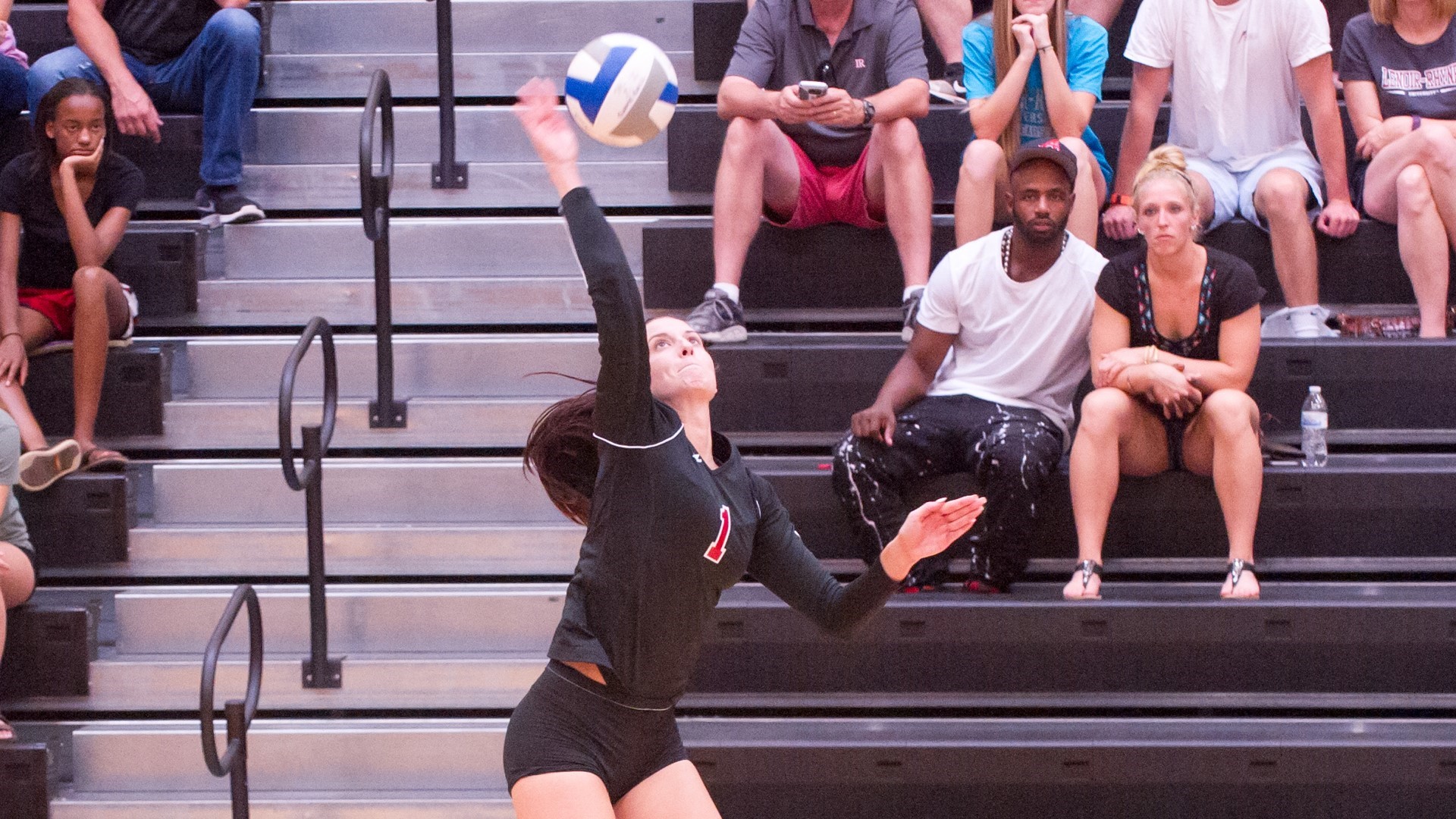 Emily Steele - Volleyball - Lenoir-Rhyne University Athletics