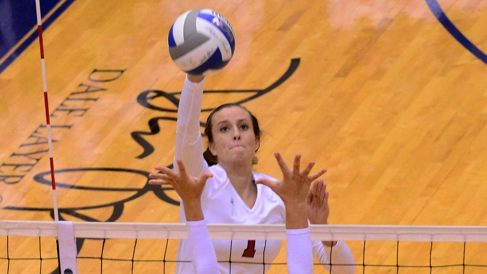 Emily Steele - Volleyball - Lenoir-Rhyne University Athletics