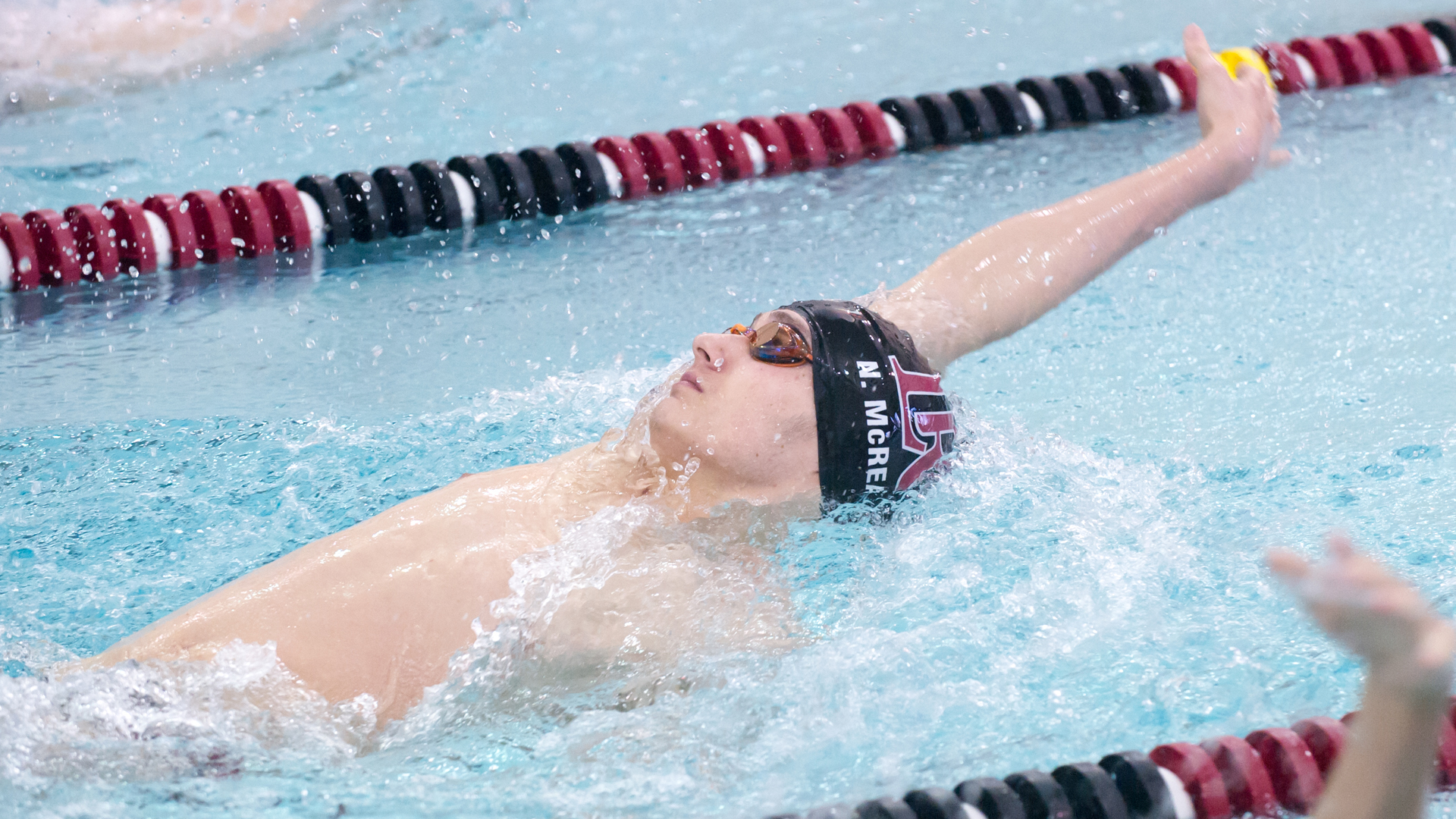 Noah McRea - Men's Swimming - Lenoir-Rhyne University Athletics