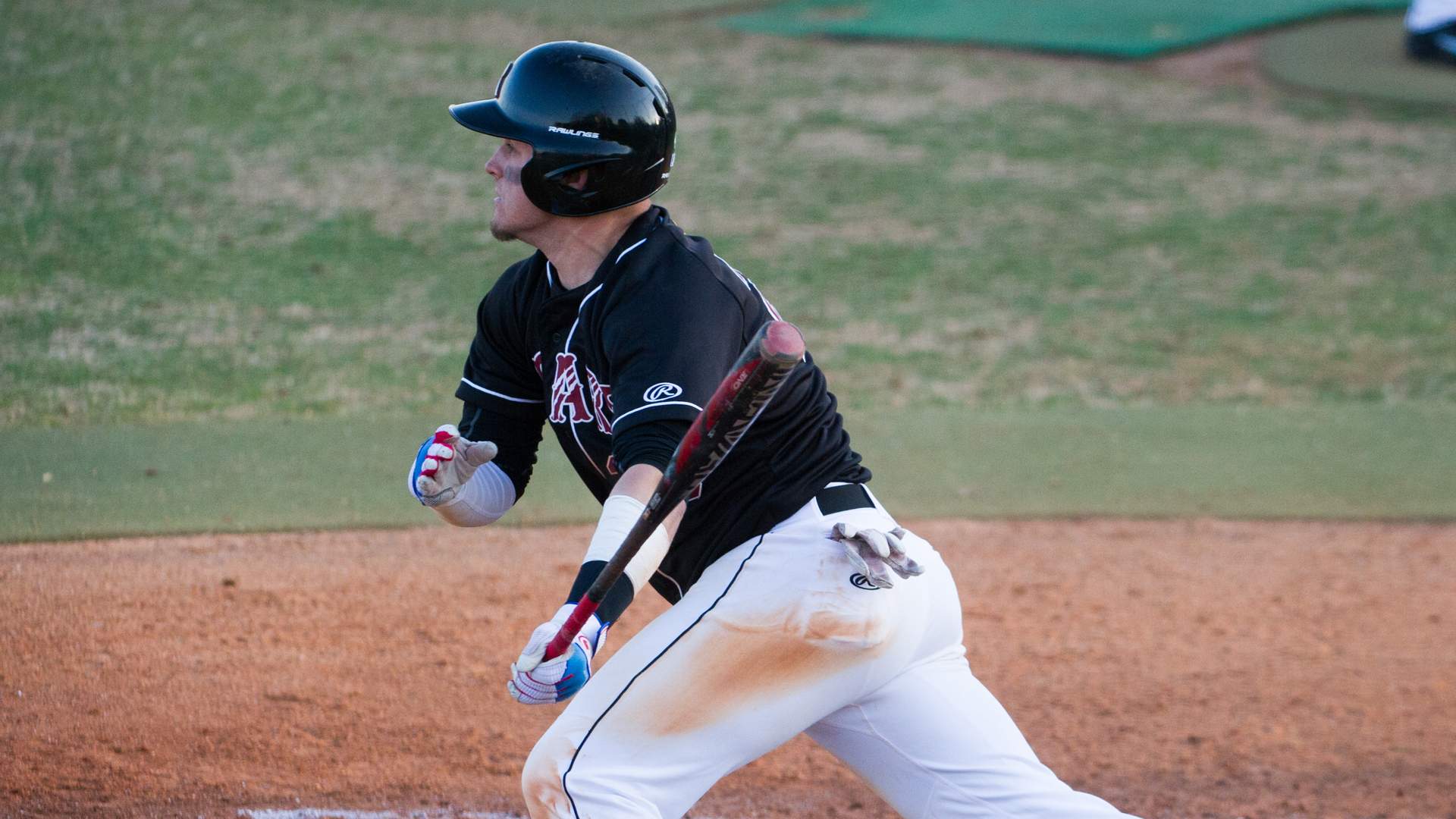 Alex Reynolds - Baseball - Lenoir-Rhyne University Athletics