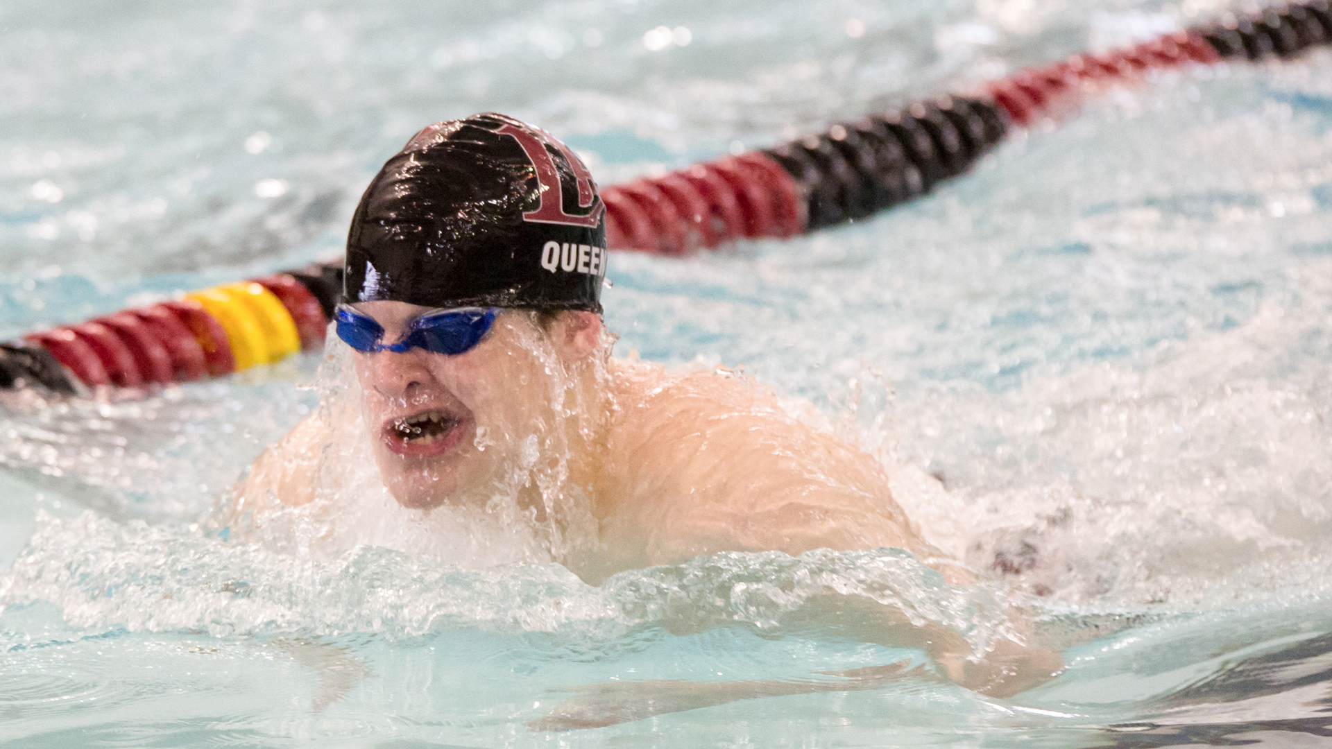 Jacob Queen - Men's Swimming - Lenoir-Rhyne University Athletics