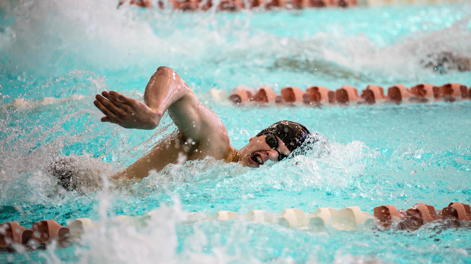 Jacob Queen - Men's Swimming - Lenoir-Rhyne University Athletics