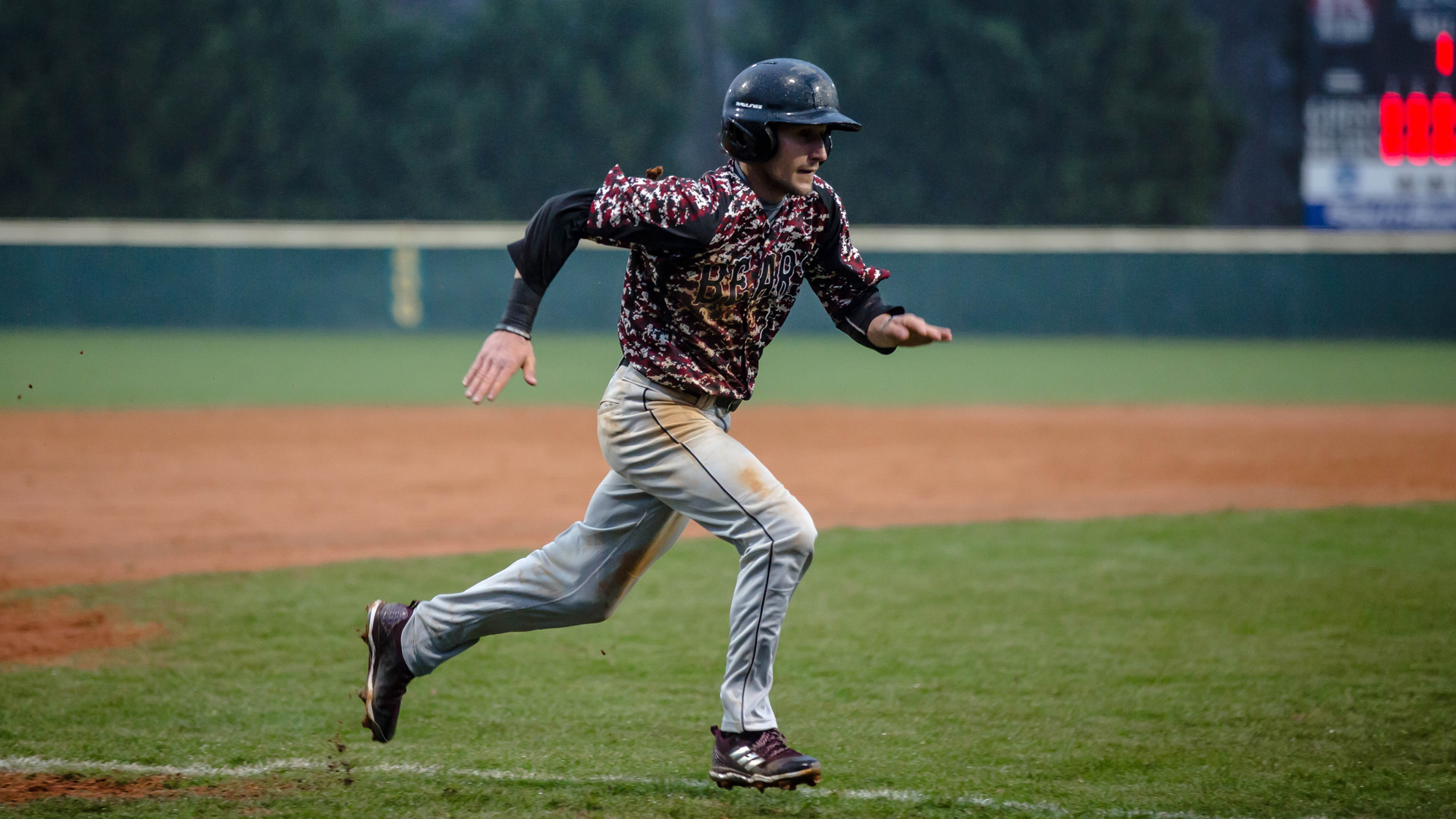 Marcus Shoemaker - Baseball - Lenoir-Rhyne University Athletics
