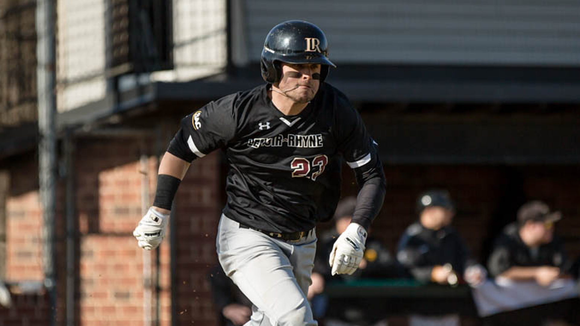 Alex Reynolds - Baseball - Lenoir-Rhyne University Athletics