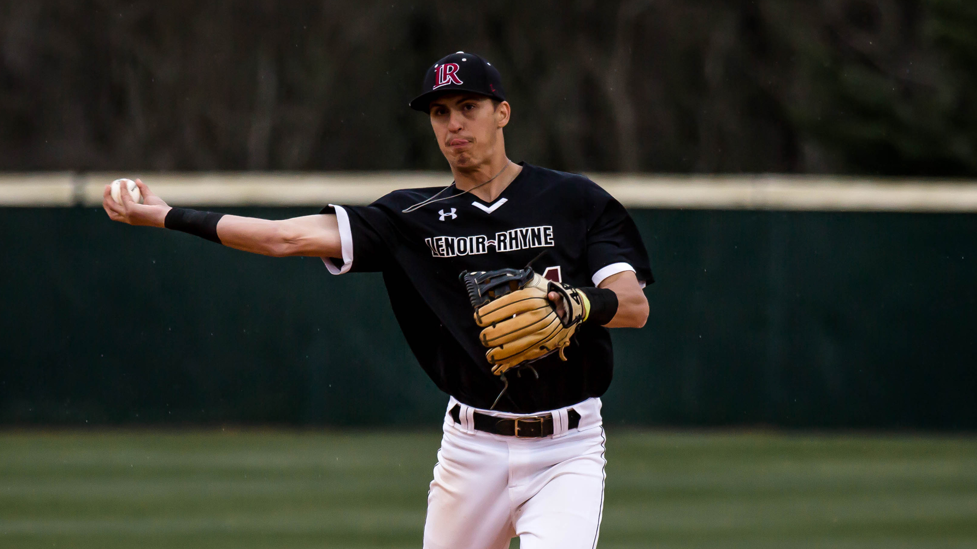 Brock Johnson - Baseball - Lenoir-Rhyne University Athletics