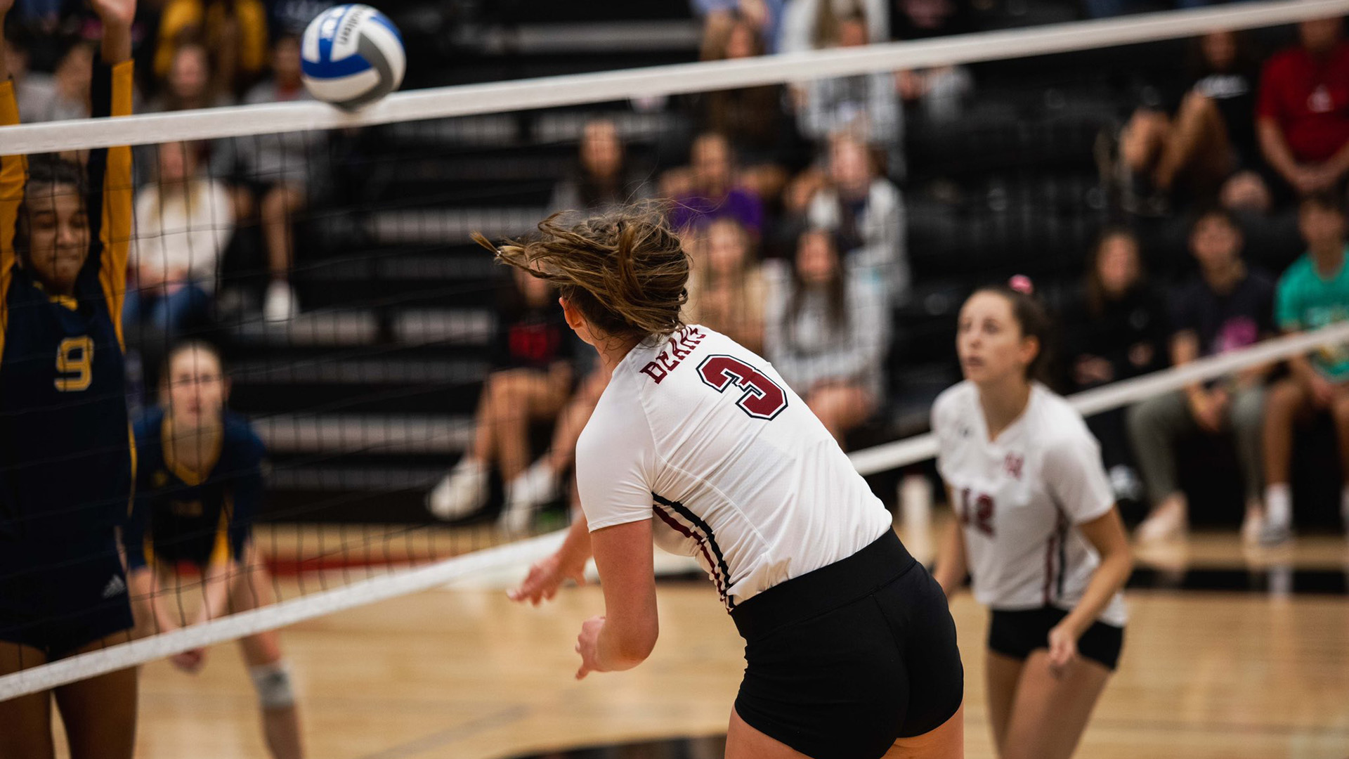 Bears Dominate Emory & Henry to Open Home Stand - Lenoir-Rhyne ...