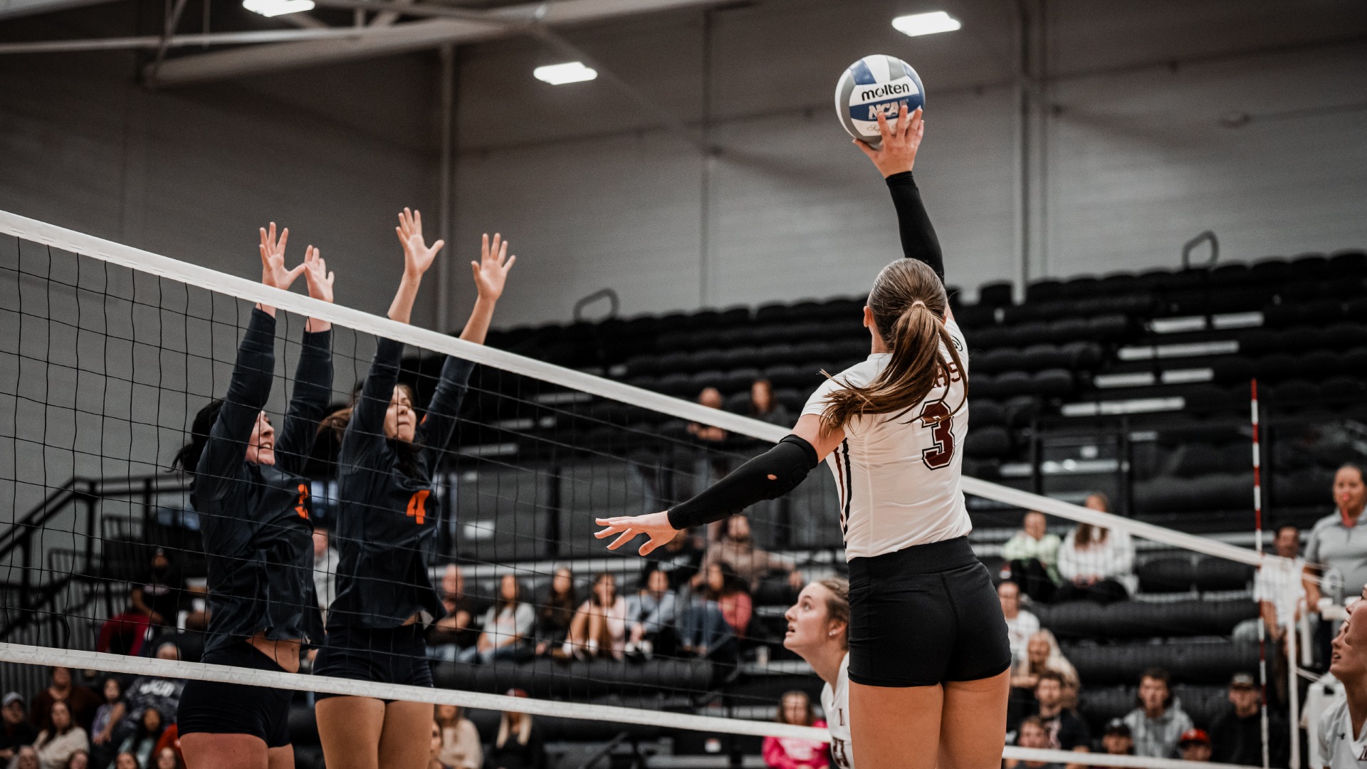 Bears Move to 11-1 in SAC with Sweep of Carson-Newman - Lenoir-Rhyne ...