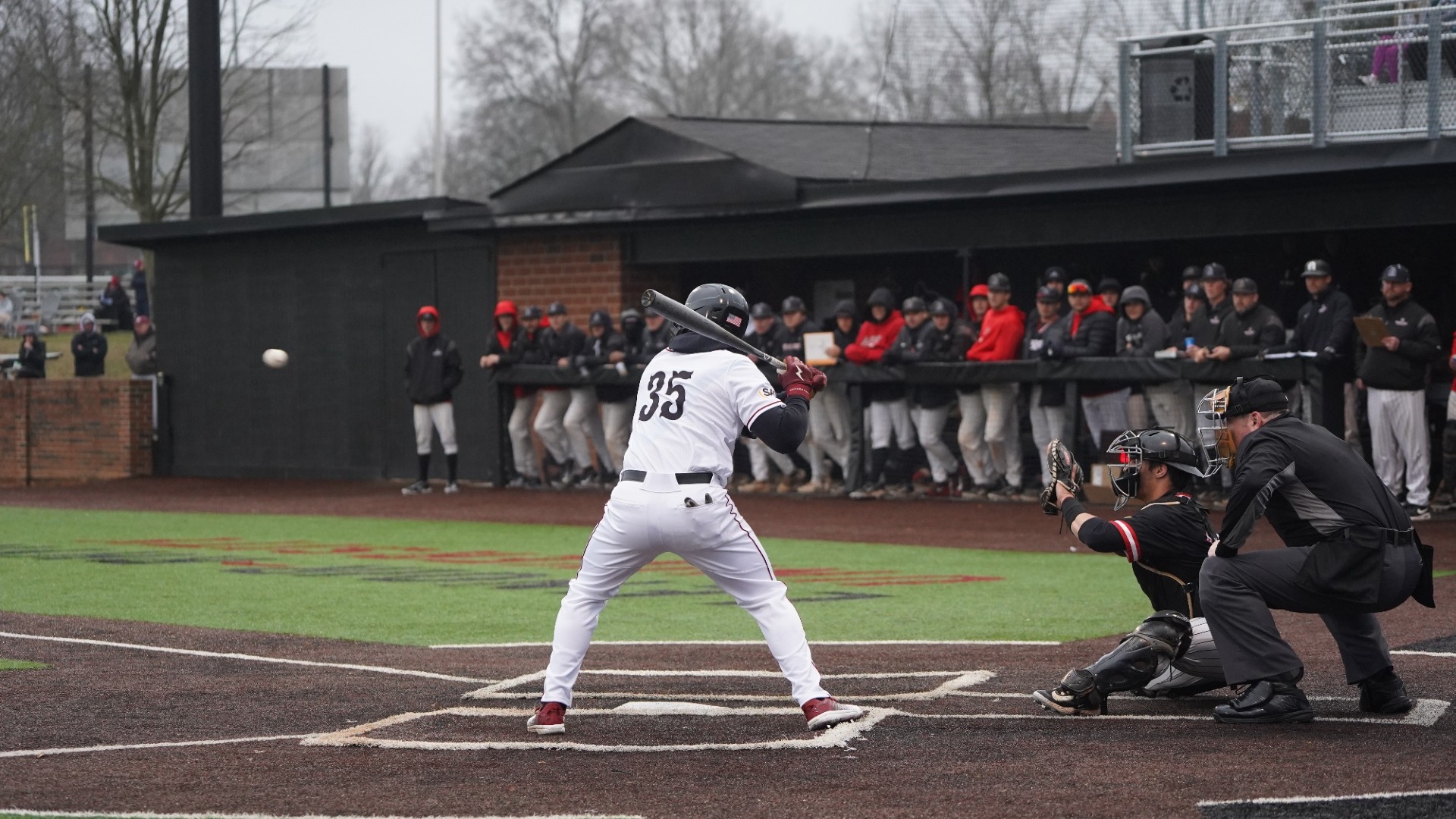 Tyler McPeak - Baseball - Lenoir-Rhyne University Athletics