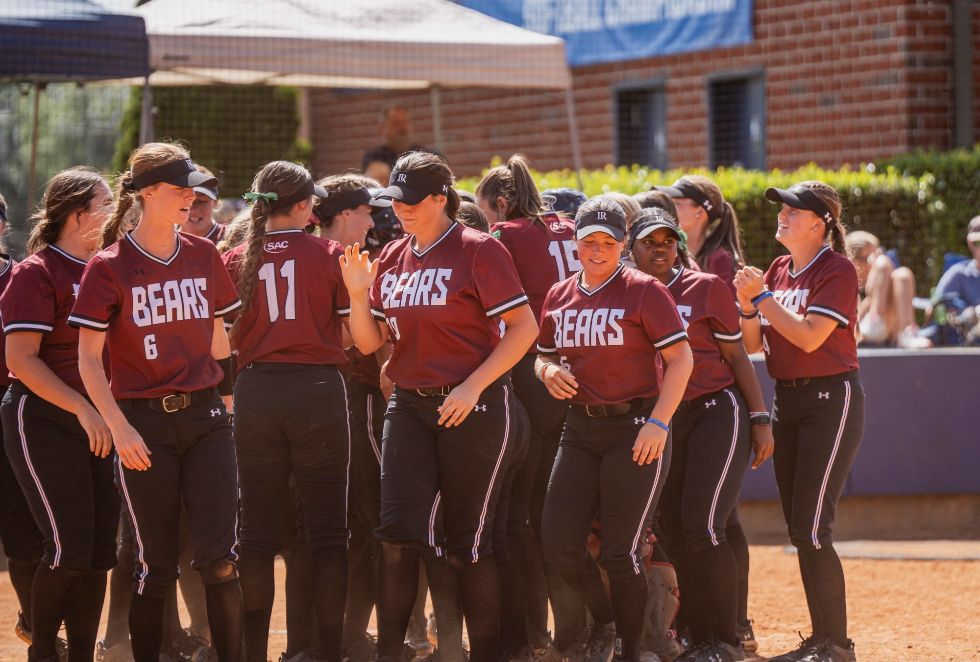 Bears Take Game Two 6-4, Forces Winner Take All Game - Lenoir-Rhyne ...