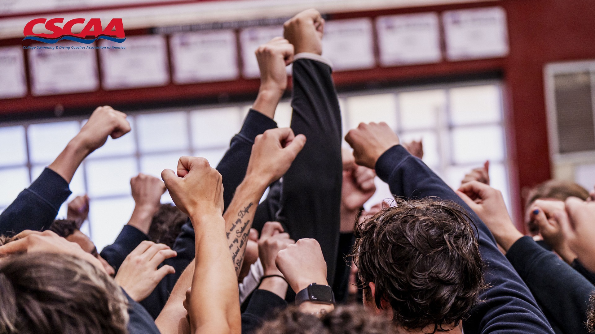 Swimming impresses at Centre Invite - Lenoir-Rhyne University Athletics