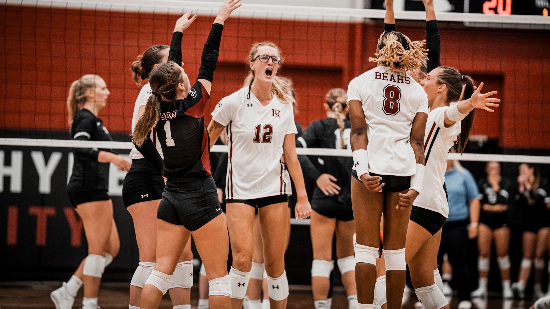 Volleyball honored with eighth straight AVCA Team Academic Award ...