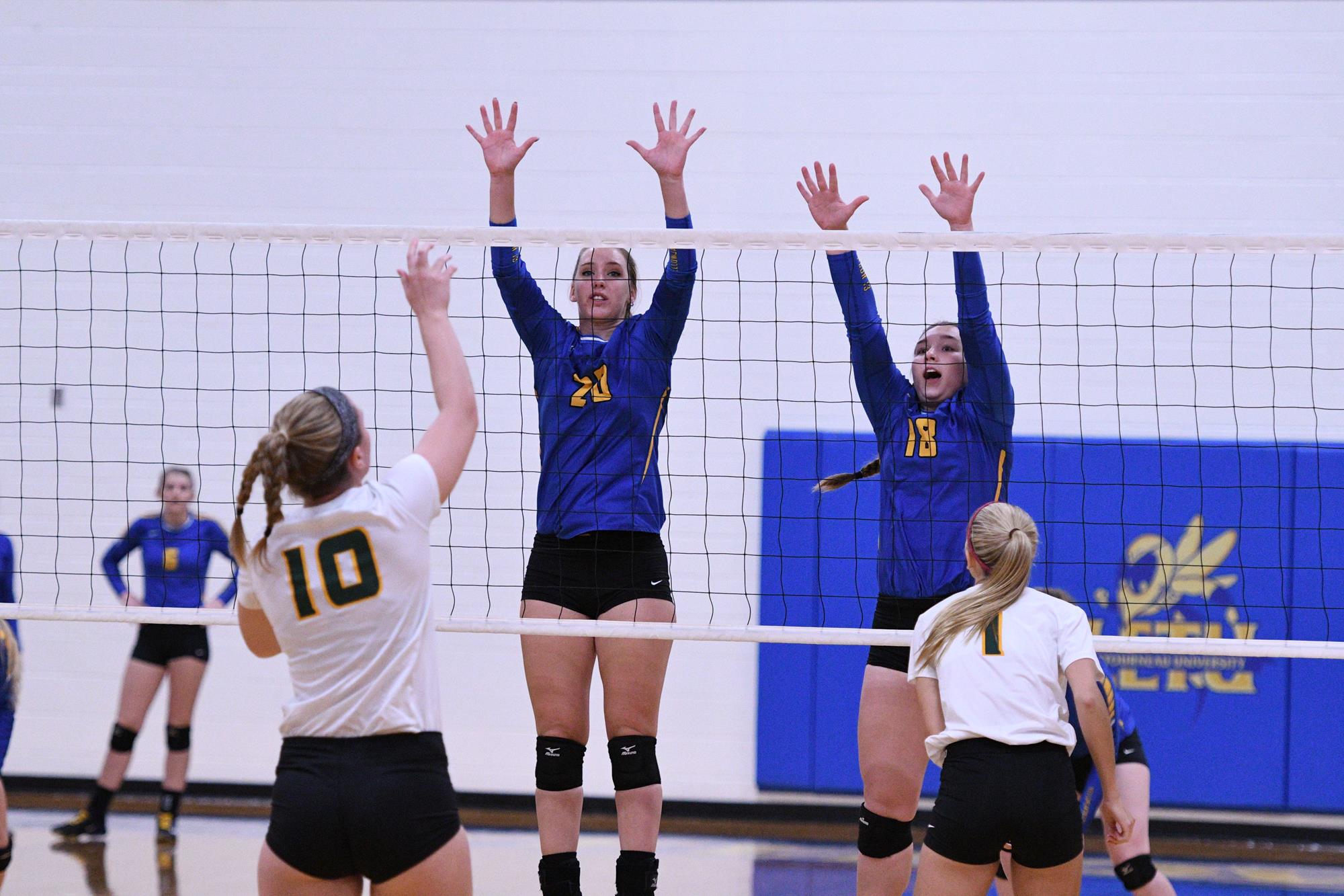 Ashlyn Johnson - Volleyball - LeTourneau University Athletics