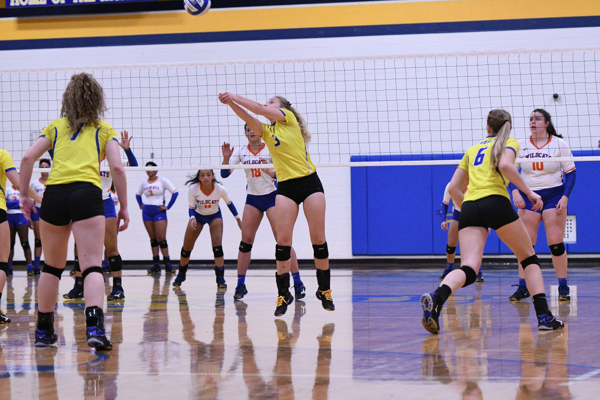 Torie Langston - Volleyball - LeTourneau University Athletics