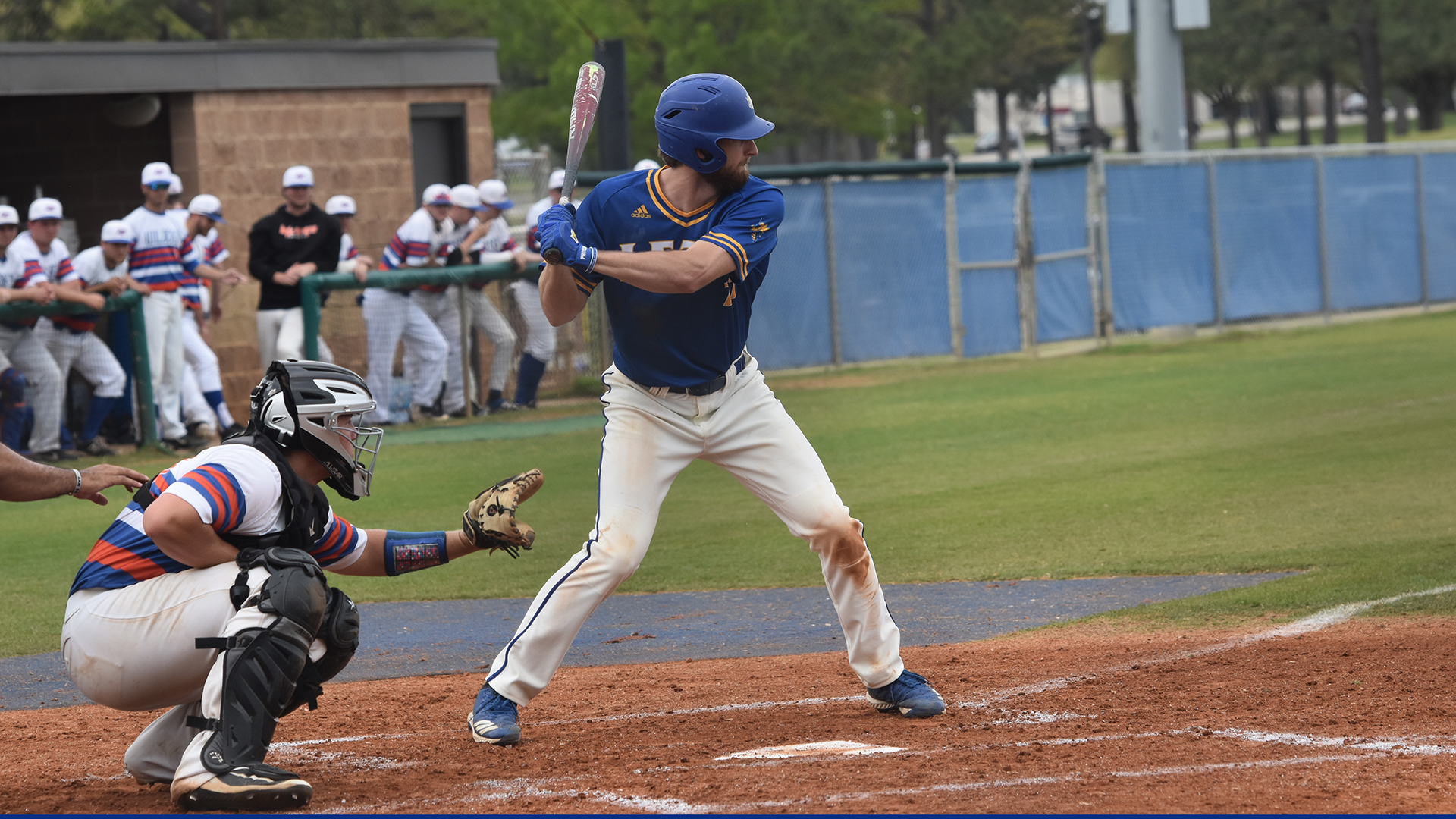Will Bradshaw - Baseball - LeTourneau University Athletics