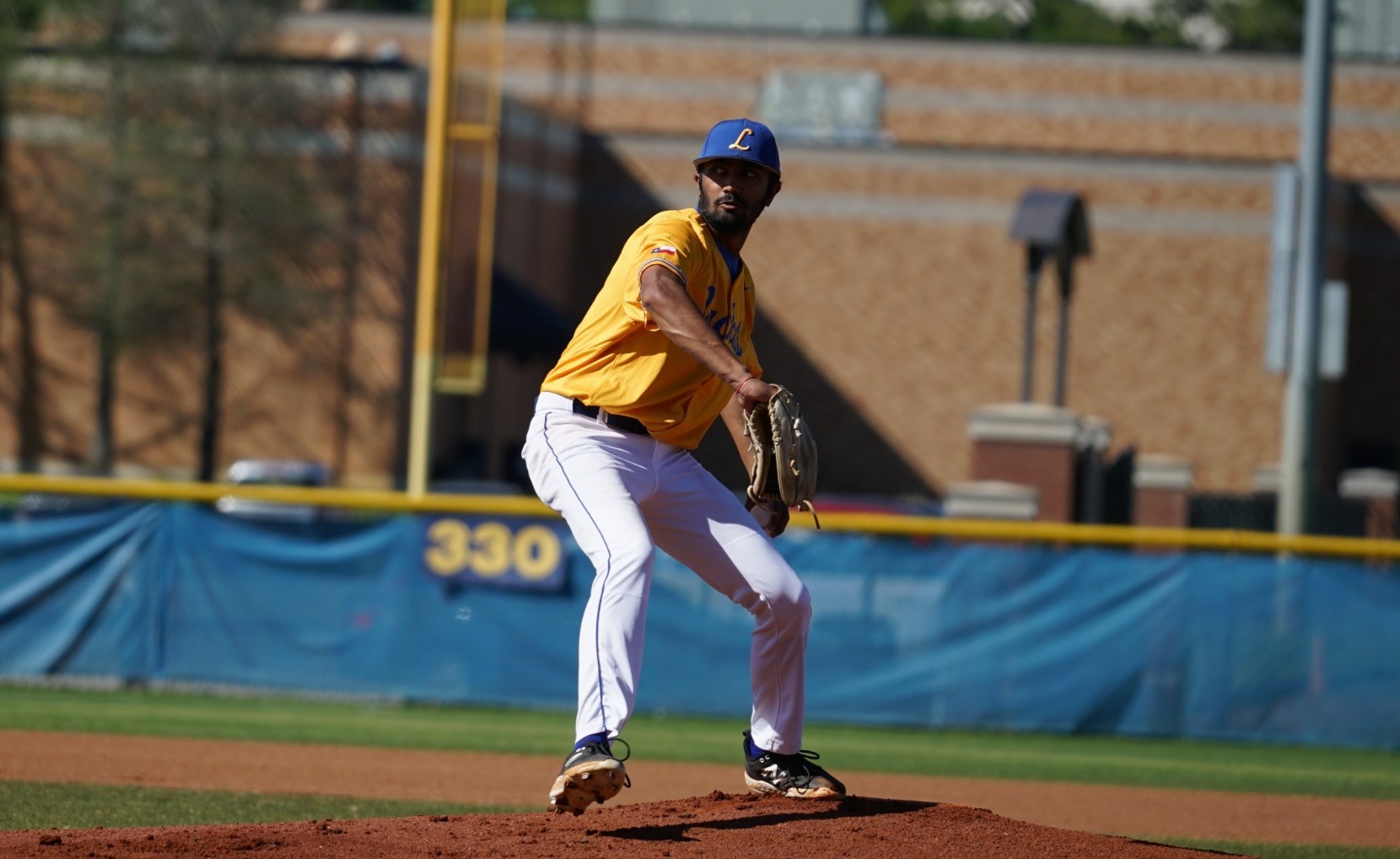 Patel Stays Hot as Baseball Takes the Series - LeTourneau University ...