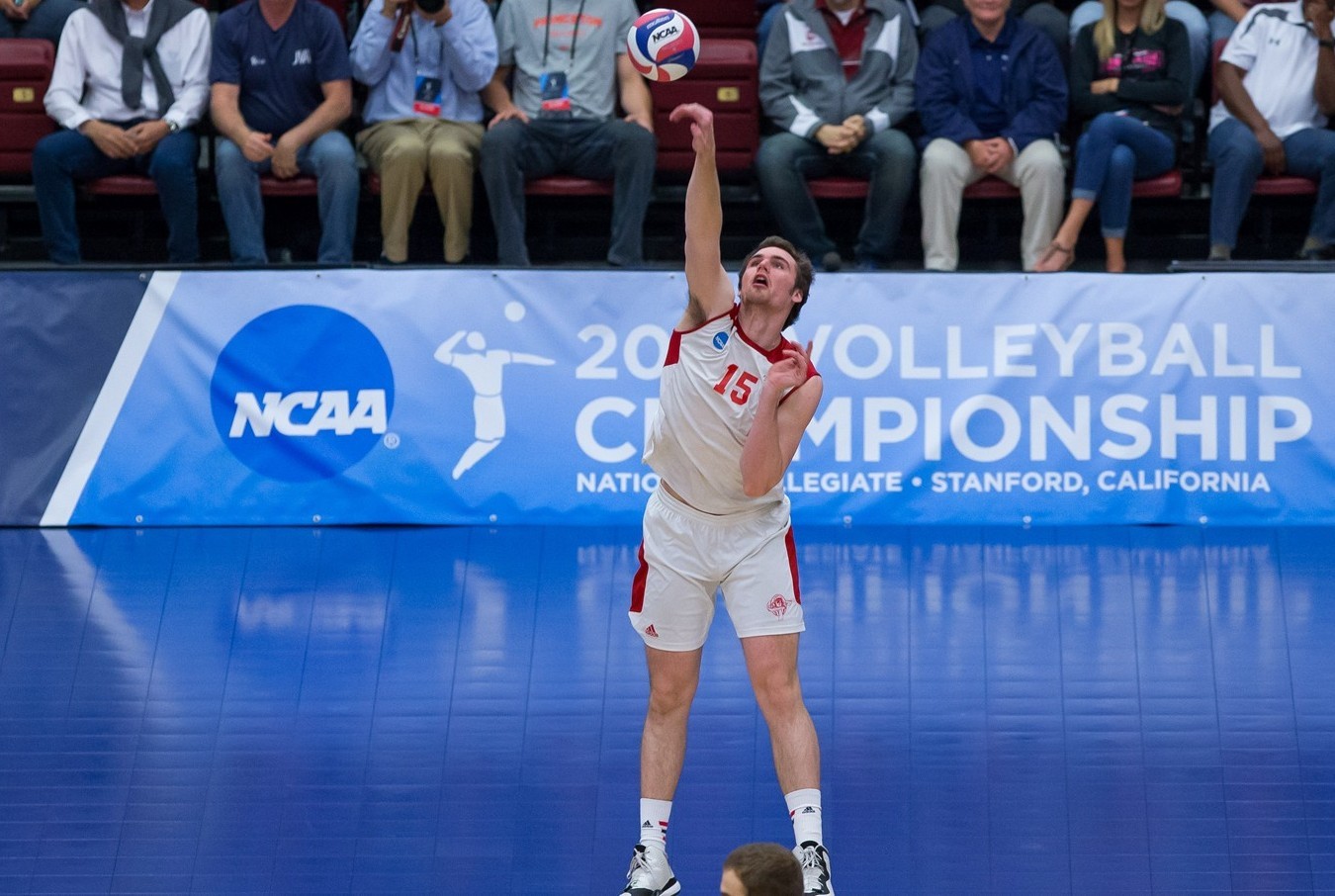 Bobby Walsh - Men's Volleyball - Lewis University Athletics