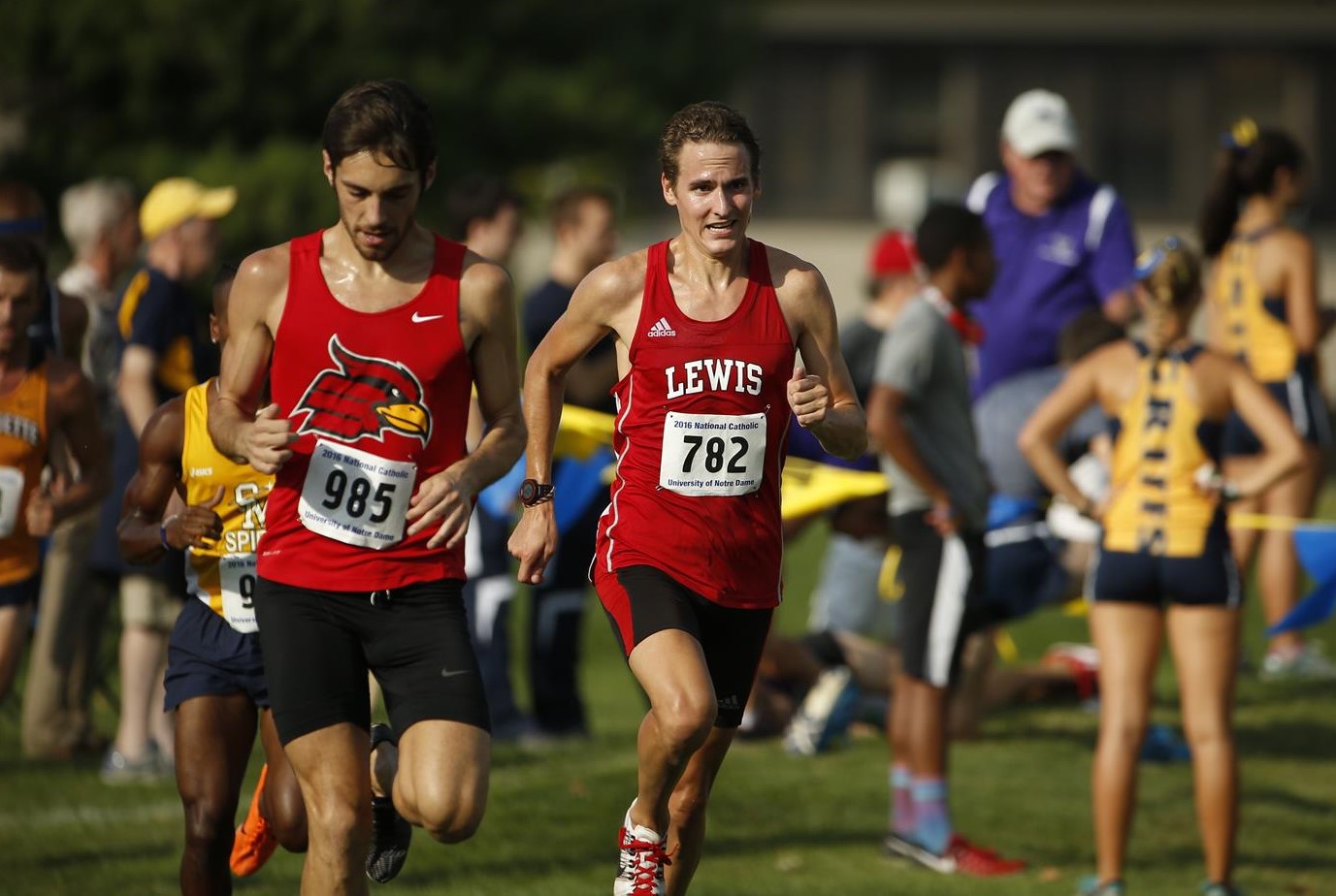 Asher Scott - Men's Cross Country - Lewis University Athletics