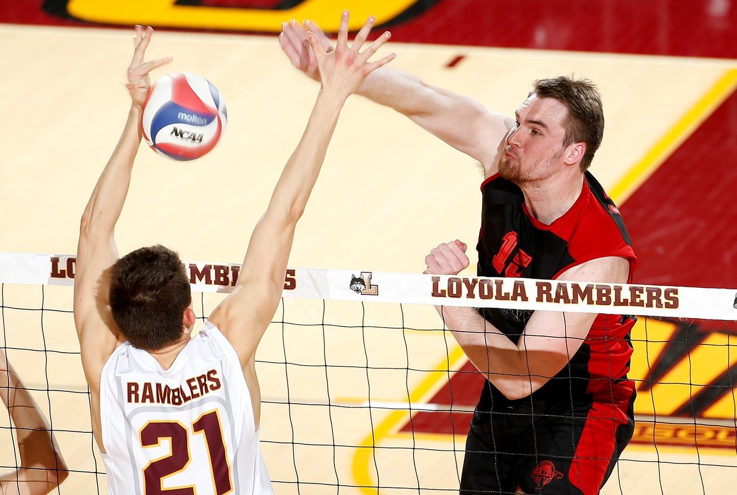 Bobby Walsh - Men's Volleyball - Lewis University Athletics