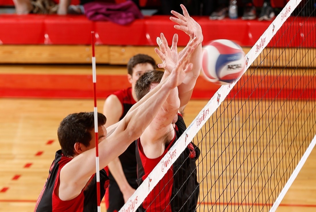 Bobby Walsh - Men's Volleyball - Lewis University Athletics