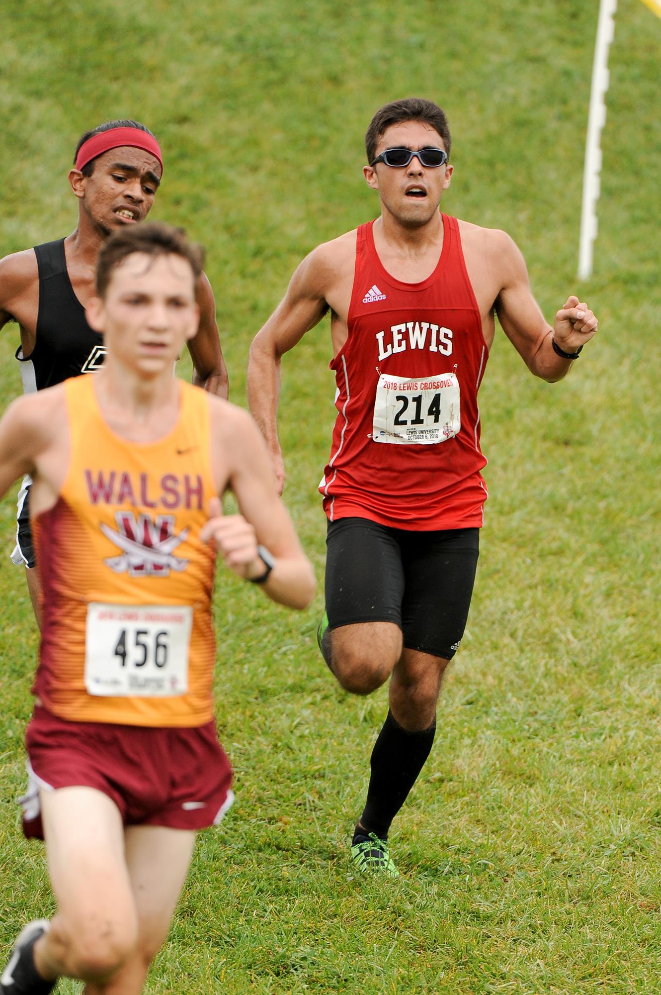 Josh Segura - Men's Cross Country - Lewis University Athletics