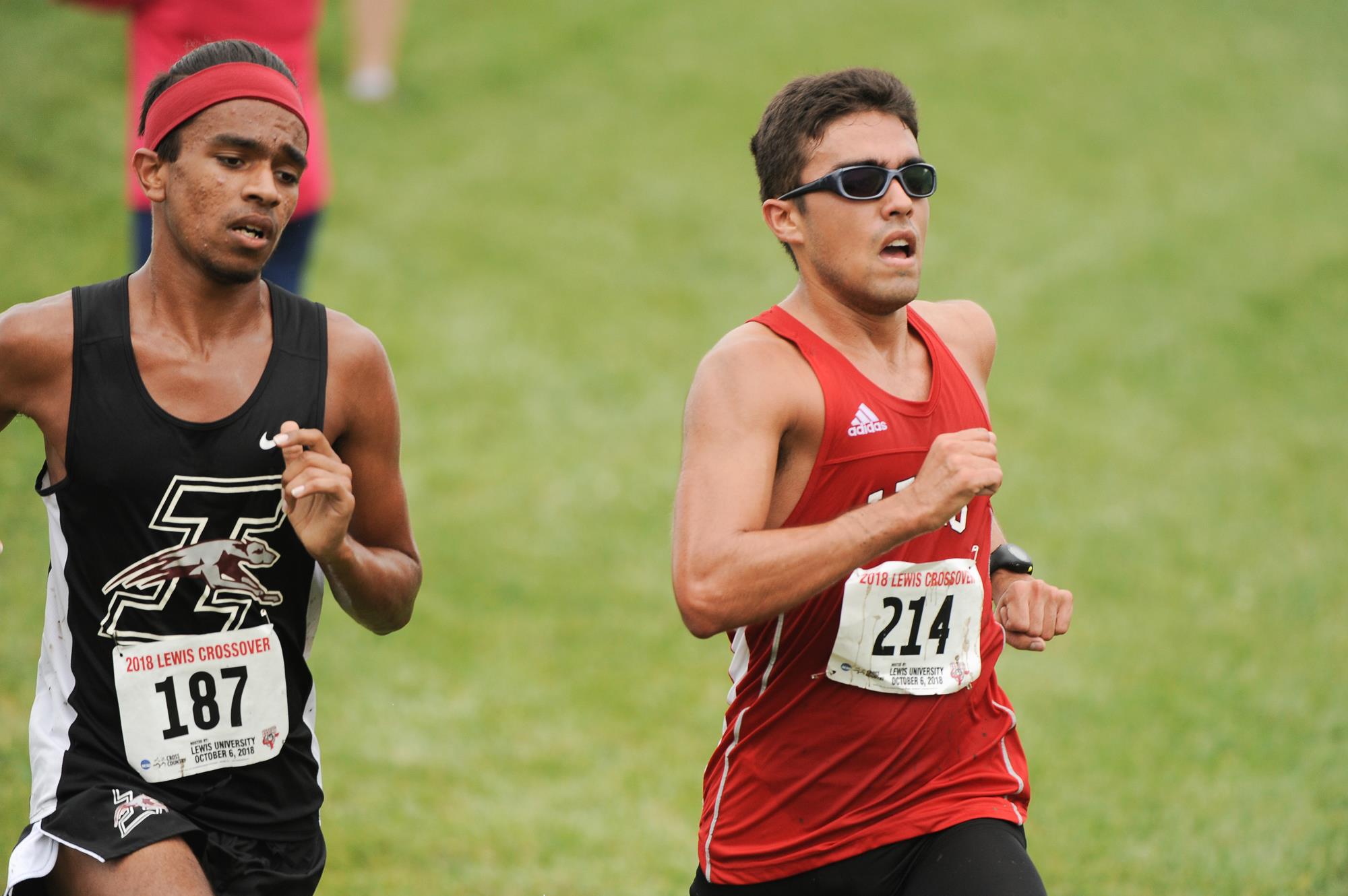 Josh Segura - Men's Cross Country - Lewis University Athletics