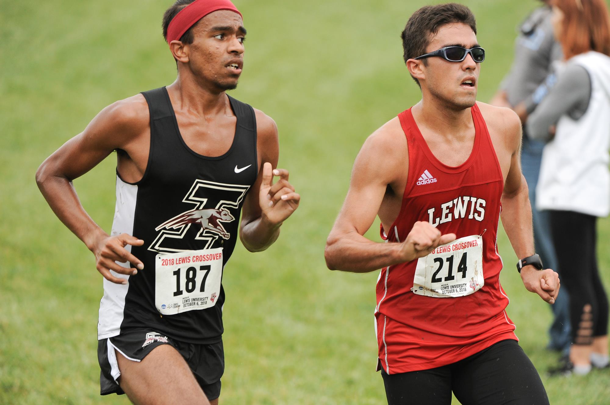 Josh Segura - Men's Cross Country - Lewis University Athletics