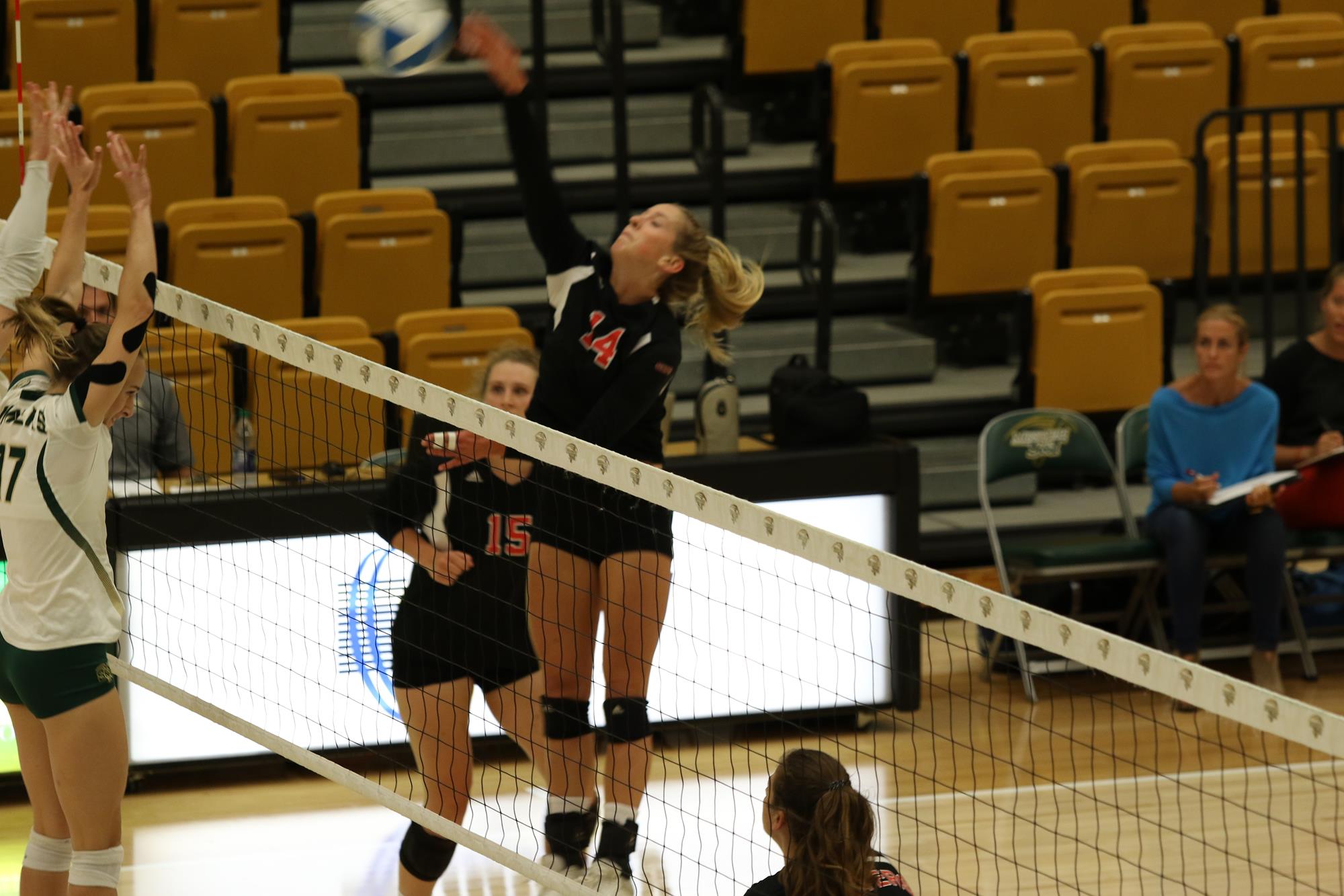 Colleen Wilhelm - Women's Volleyball - Lewis University Athletics