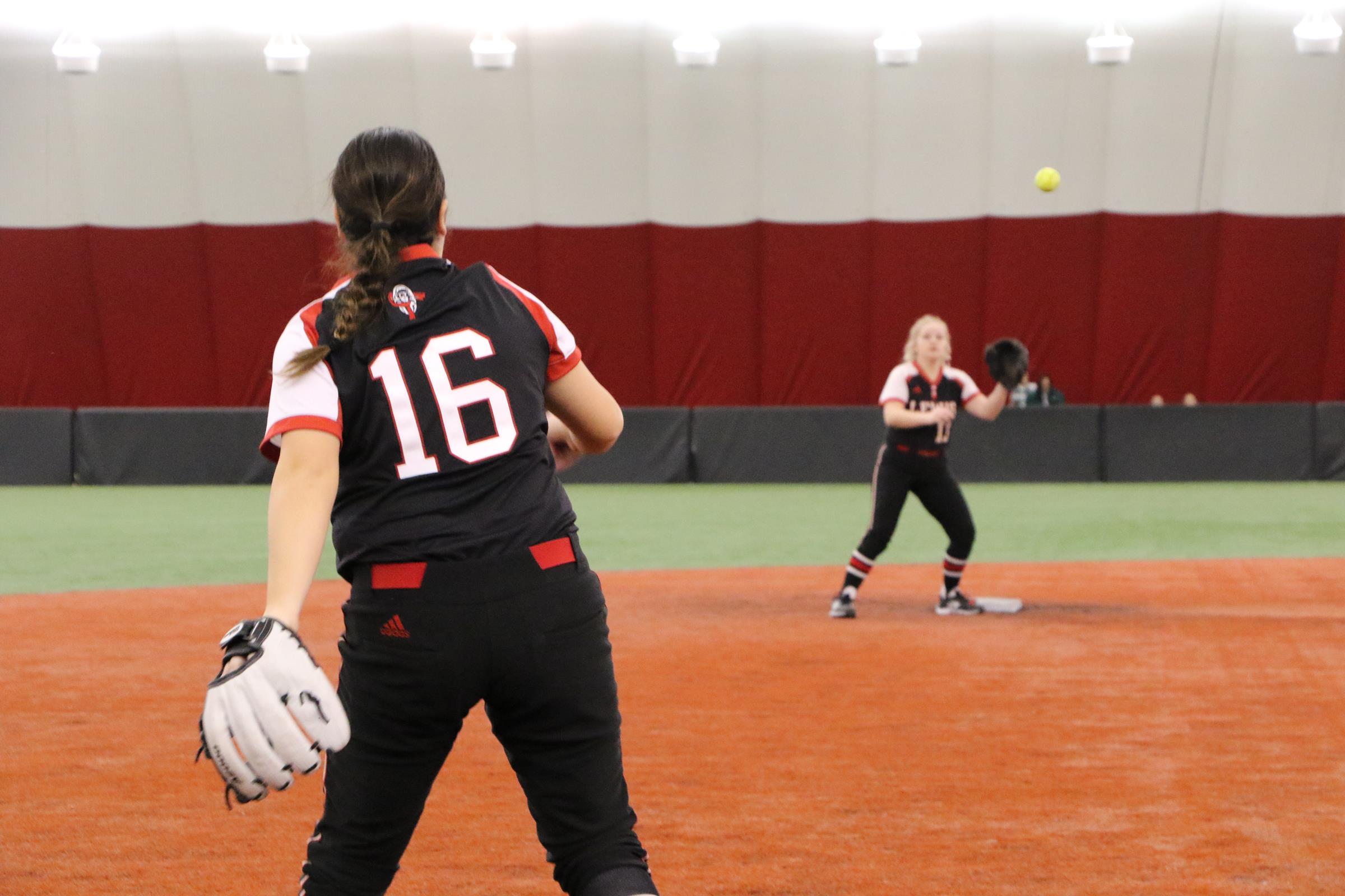 Cierra Taylor - Softball - Lewis University Athletics