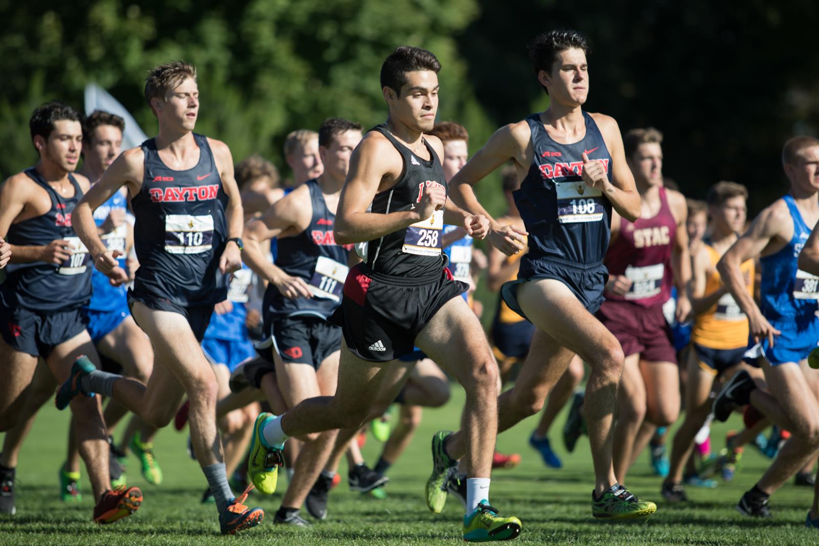 Anthony Pena - Men's Cross Country - Lewis University Athletics