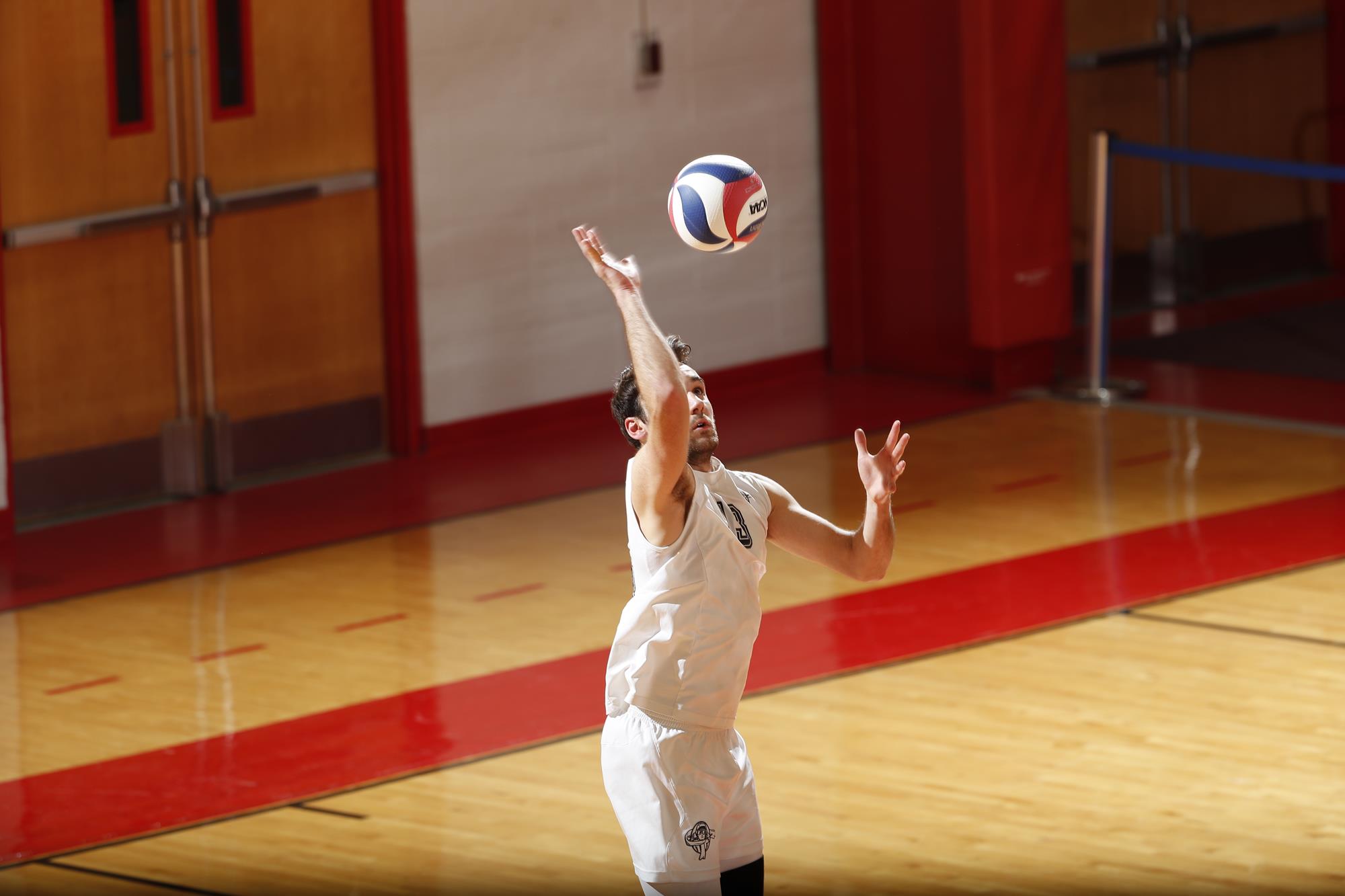 Ryan Van Loo - Men's Volleyball - Lewis University Athletics