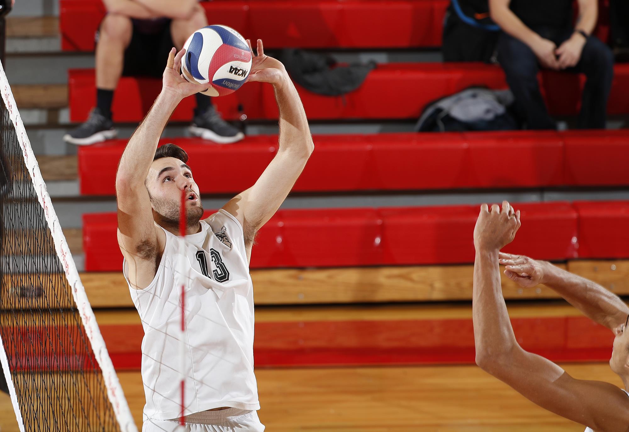 Ryan Van Loo - Men's Volleyball - Lewis University Athletics