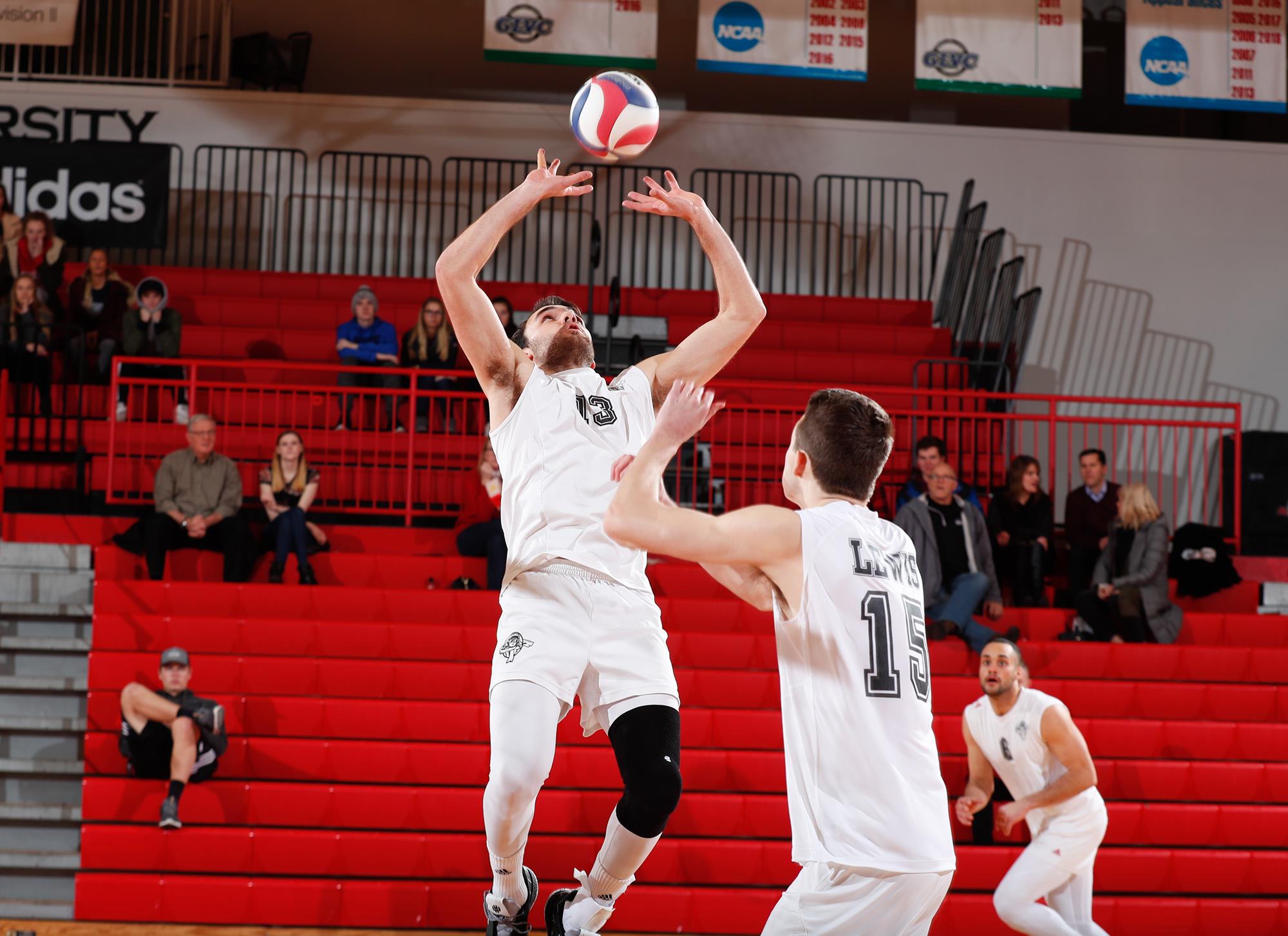 Ryan Van Loo - Men's Volleyball - Lewis University Athletics