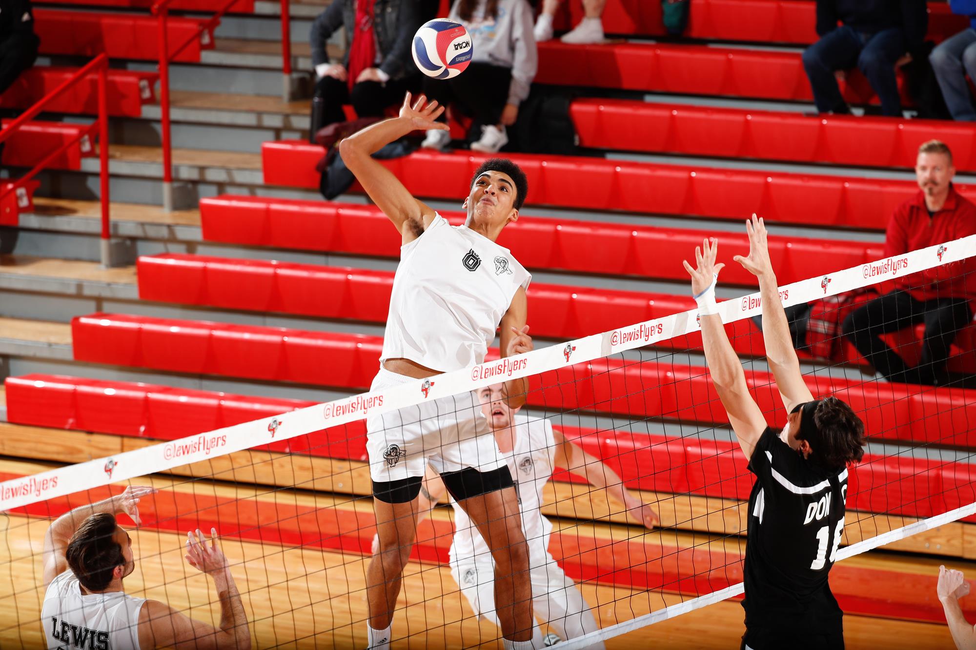 Ryan Van Loo - Men's Volleyball - Lewis University Athletics