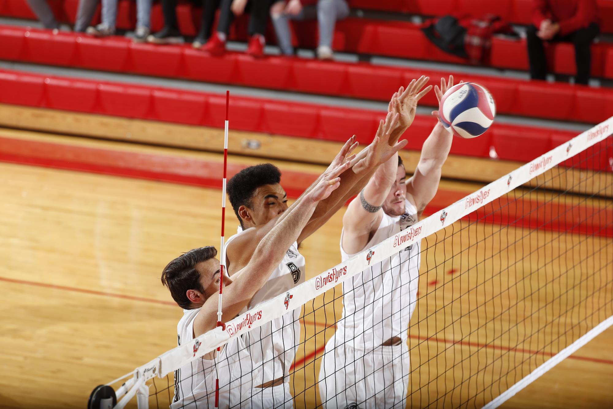 Ryan Van Loo - Men's Volleyball - Lewis University Athletics