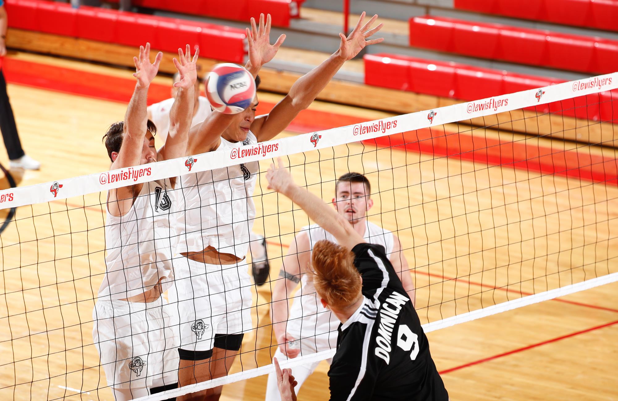 Ryan Van Loo - Men's Volleyball - Lewis University Athletics