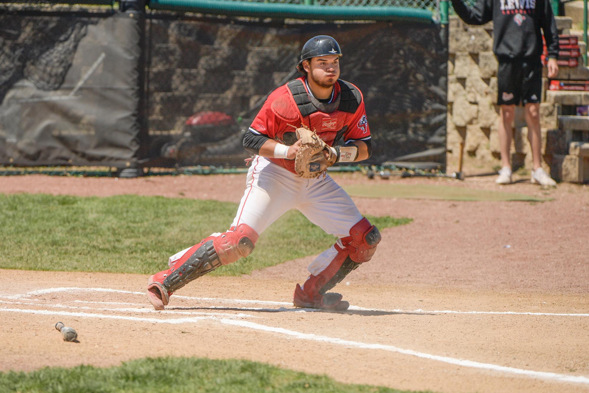 Lewis Baseball Season Ends With Loss To Quincy In GLVC Semifinals ...