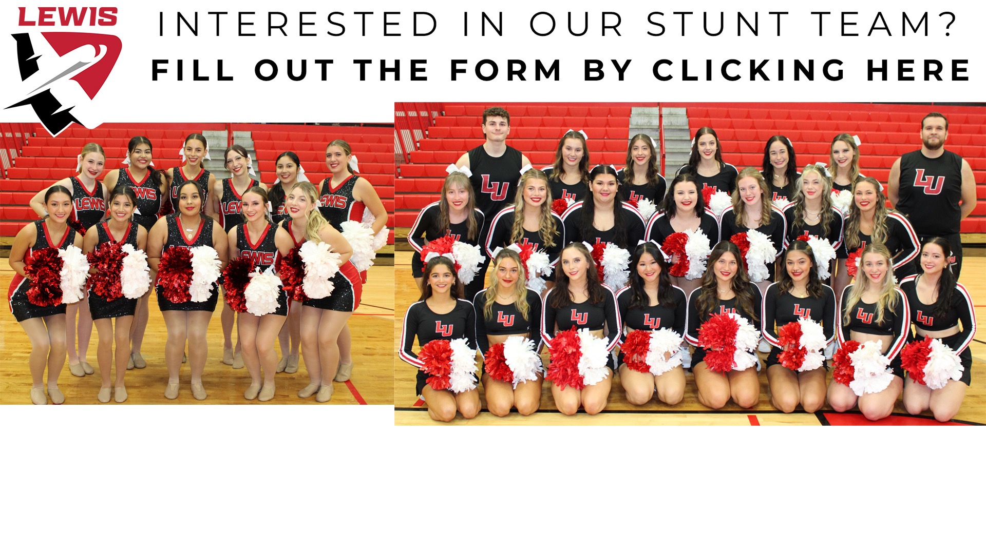 Kaitlyn VanHekken Named First Ever Lewis Stunt Coach - Lewis University ...