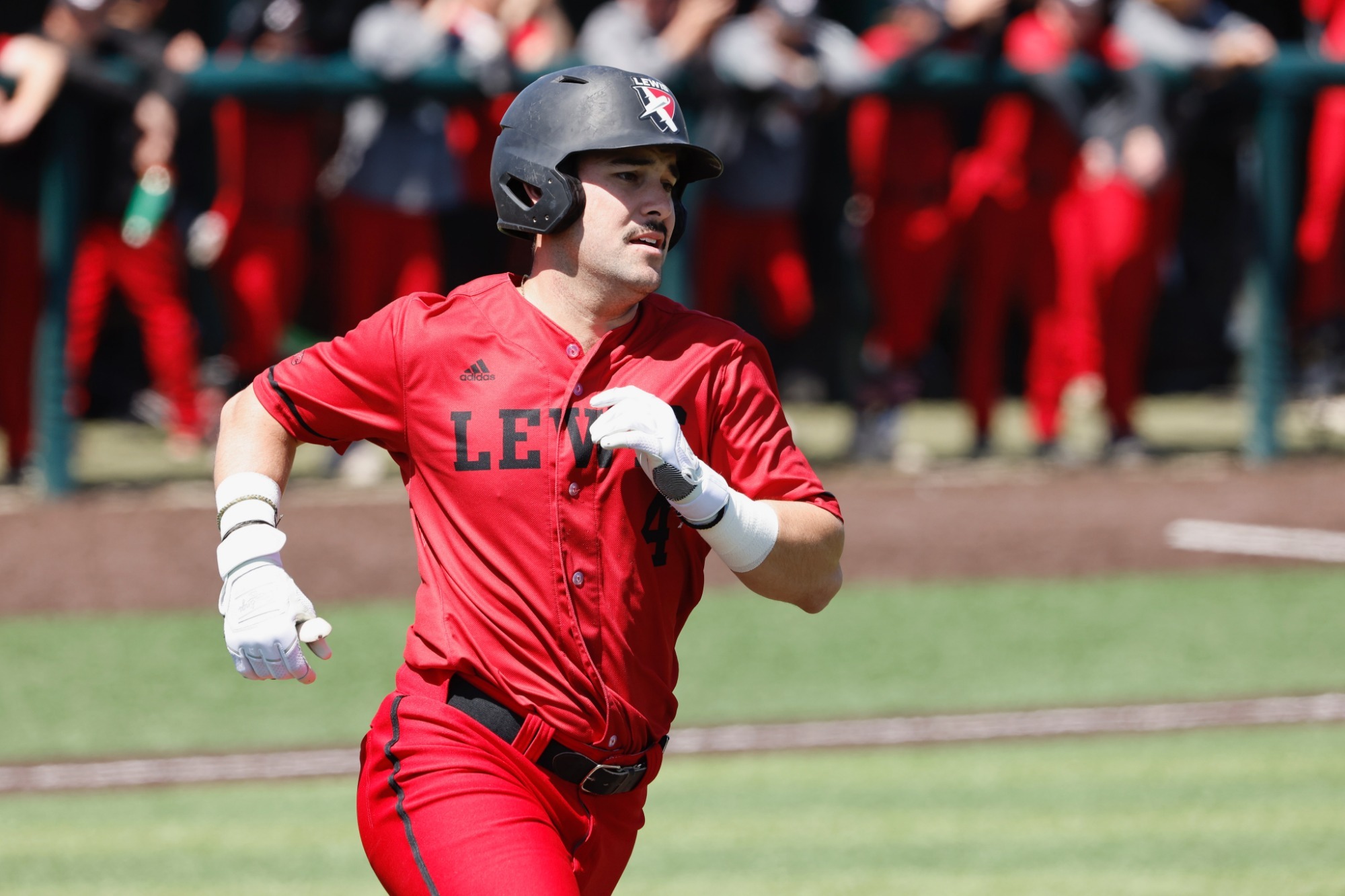 Lewis Baseball Capitalizes on Timely Hitting, Beats Missouri S&T Sunday ...