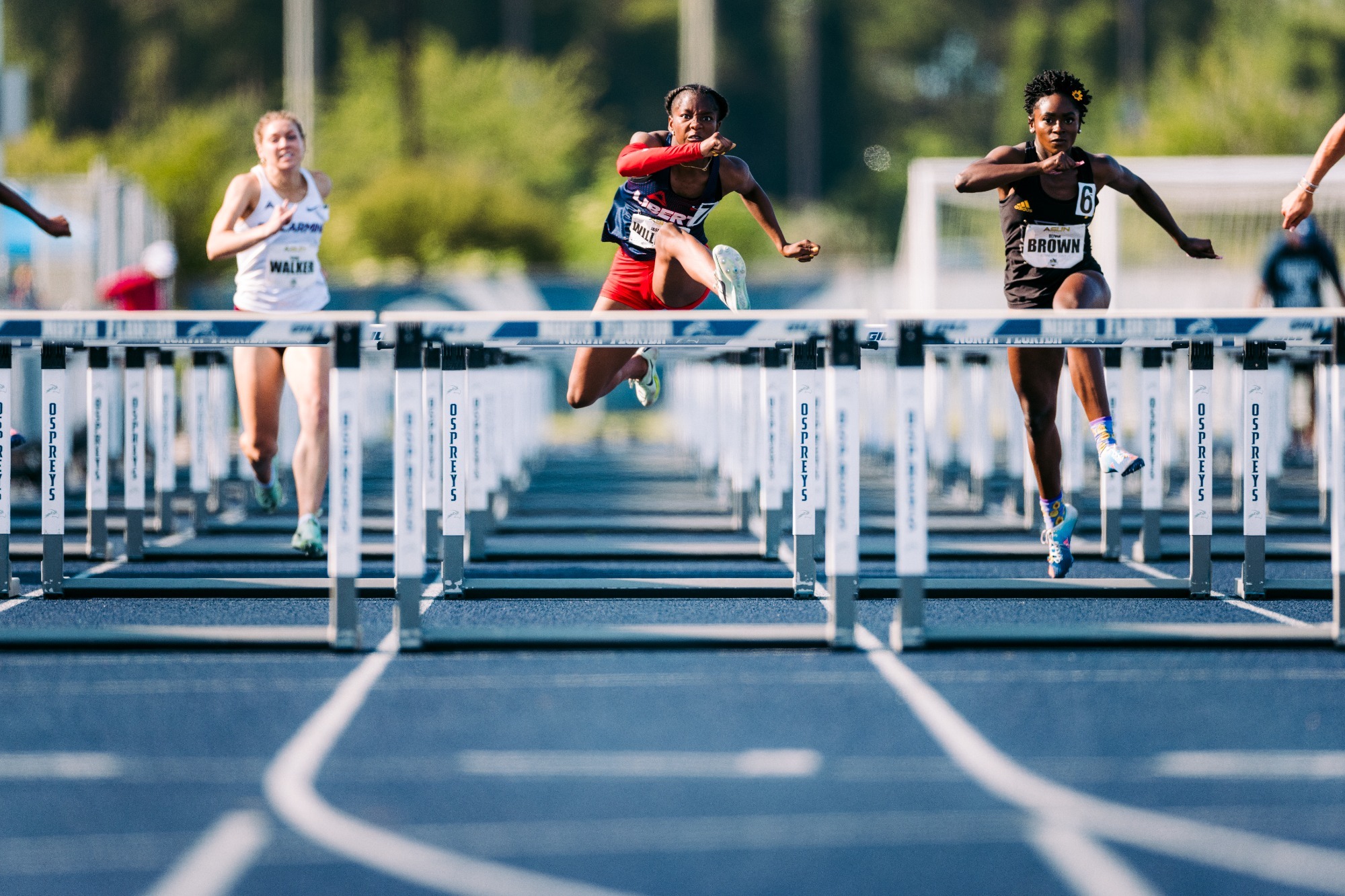 Liberty University Flames Club