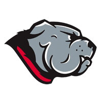 Liberty University Flames