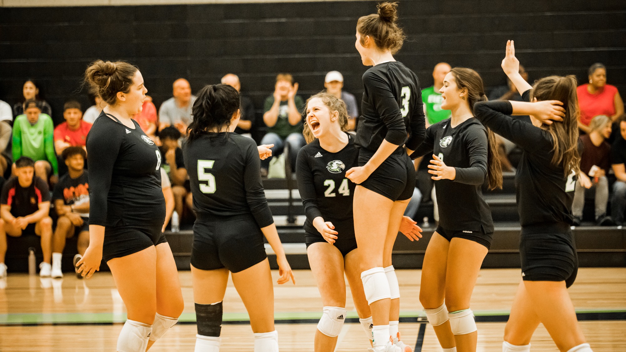 Women's Volleyball Records Dominant Victory in Conference Play Against ...
